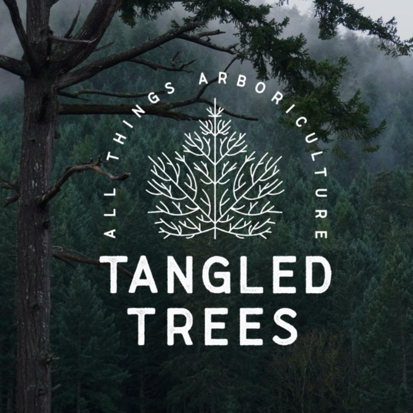 Retrenchment Pruning: A Simplified Overview of Preserving "Old Growth ...