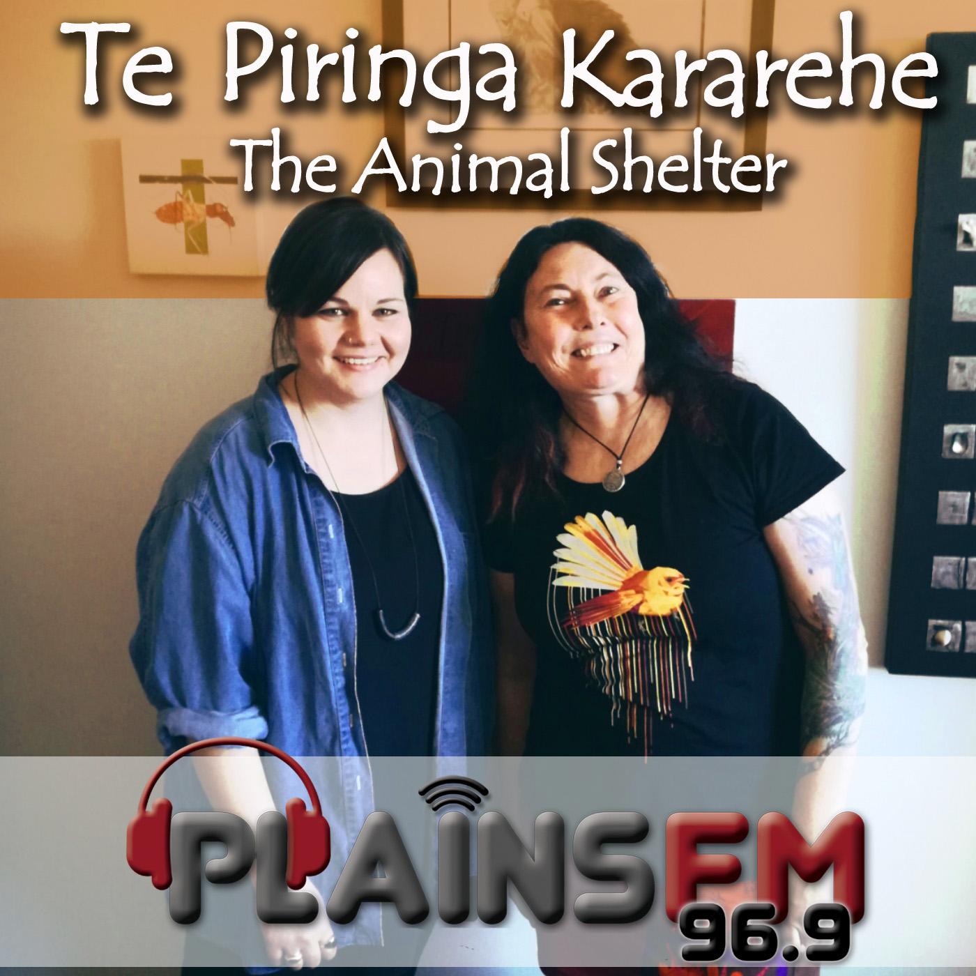 Te Piringa Kararehe - The Animal Shelter (podcast) - Annie Potts and ...