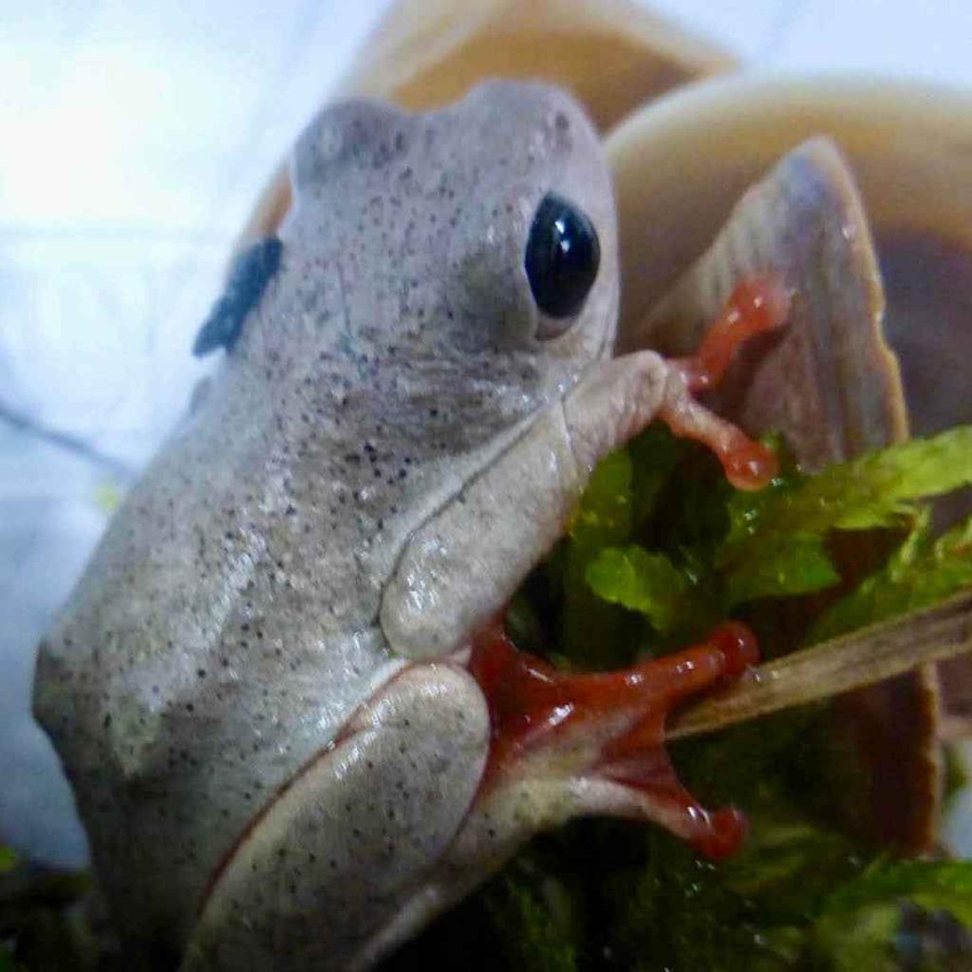 China’s DeepSeek sparks AI market wobble - Tech and Science Daily | The Standard (podcast ...