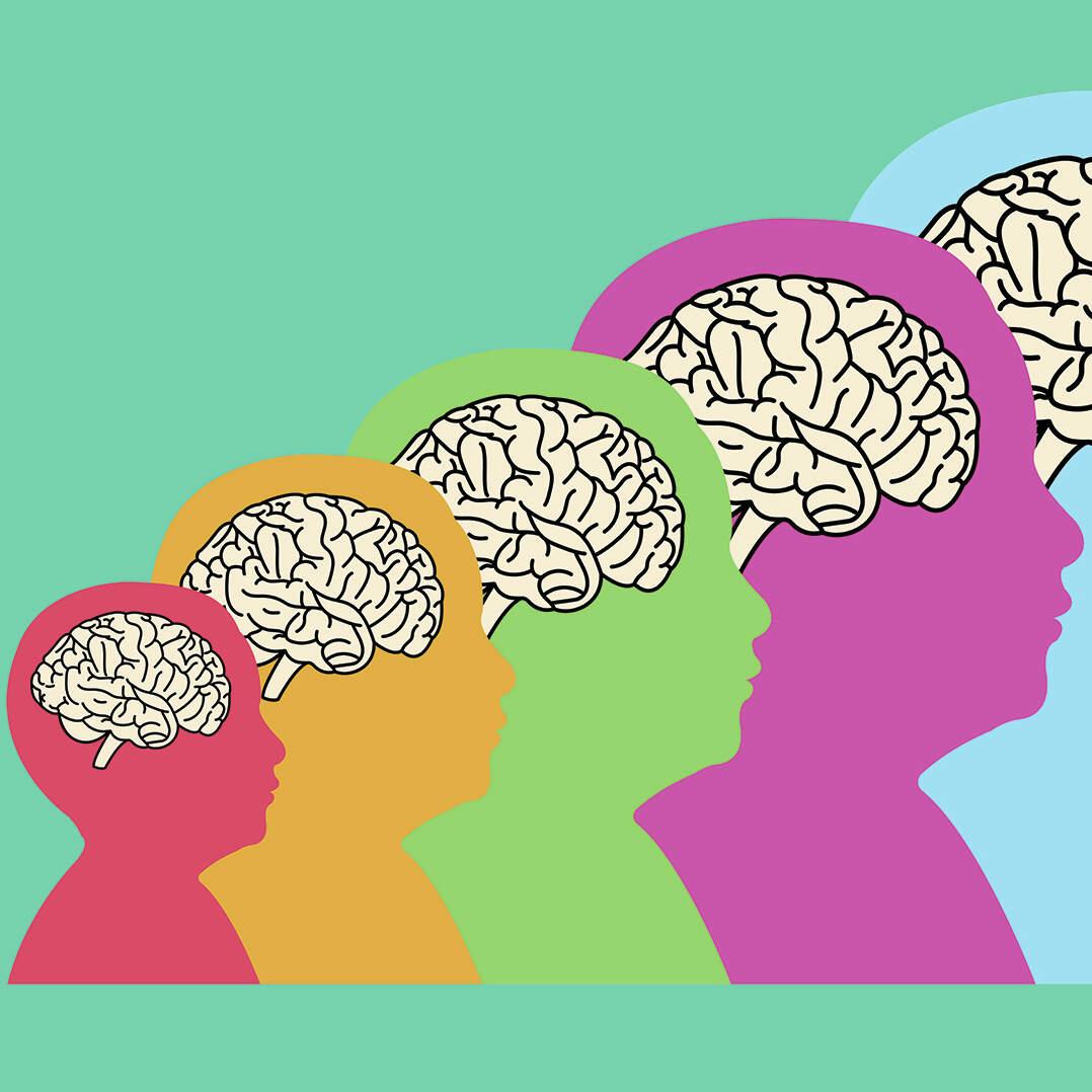 Life Stages Of The Brain (2021) - TED Radio Hour (podcast) | Listen Notes
