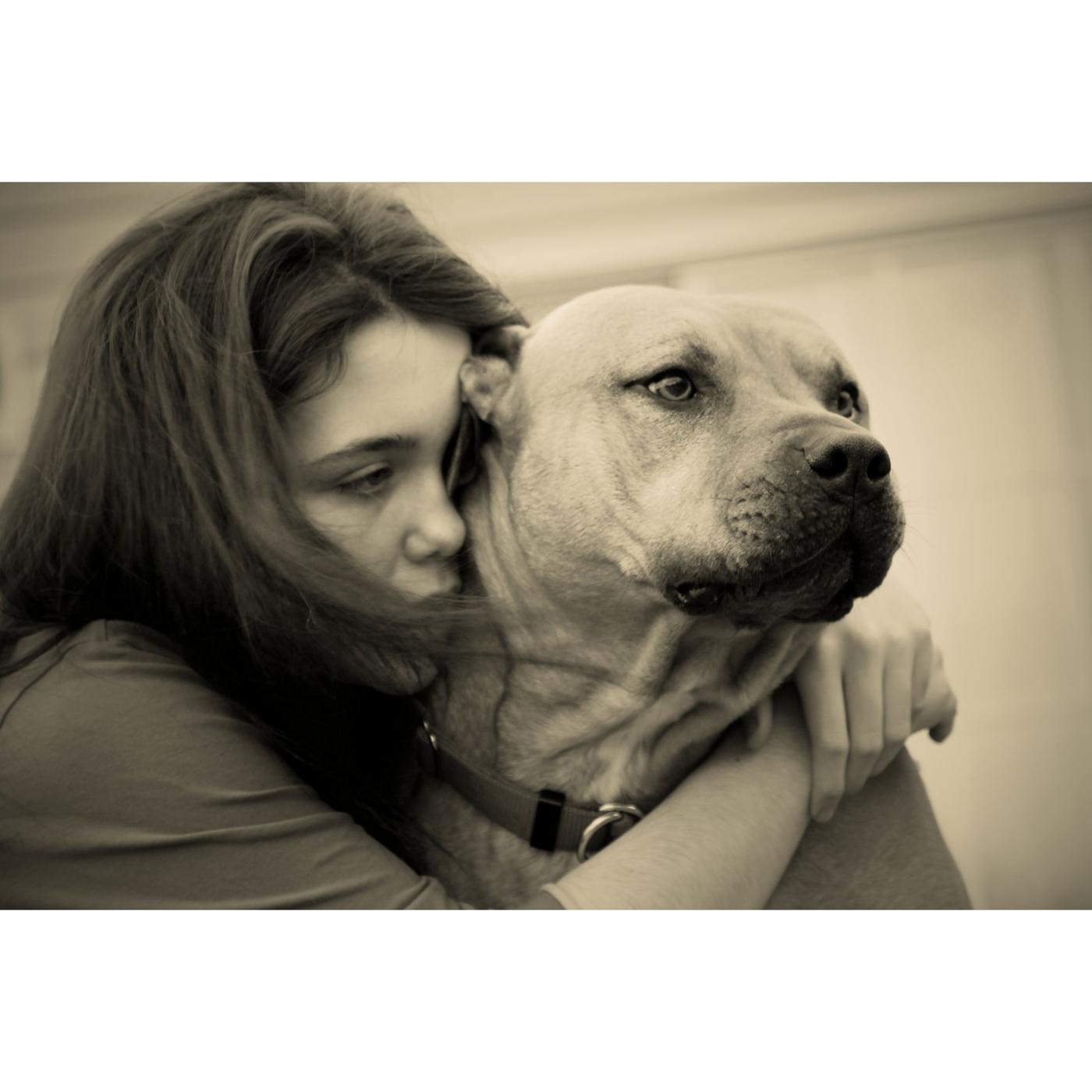 Grieving a Pet: Saying Goodbye to a Special Family Member with Coleen ...