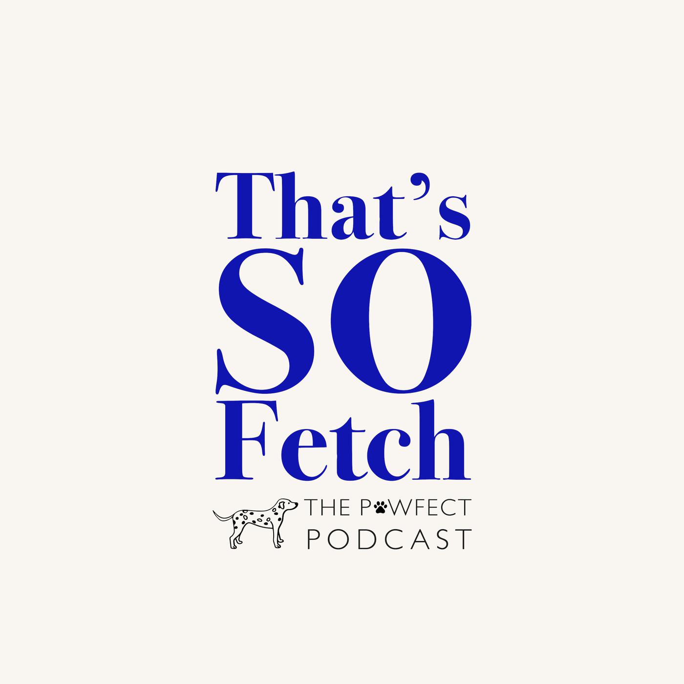 Merry Woofmas - TSF #26 - That's SO Fetch (podcast) | Listen Notes