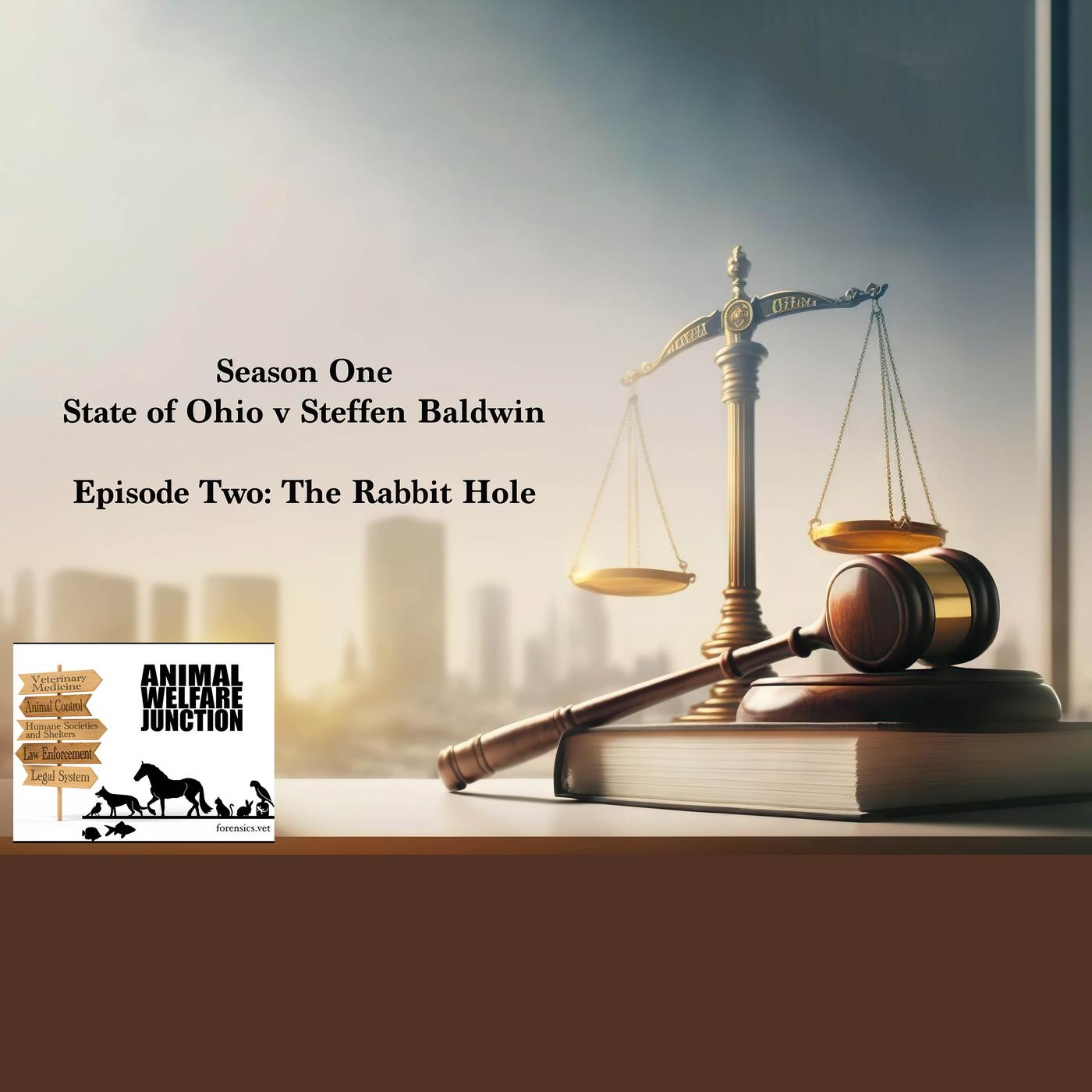 Season 1: State vs Steffen Baldwin / Episode 2: The Rabbit Hole ...