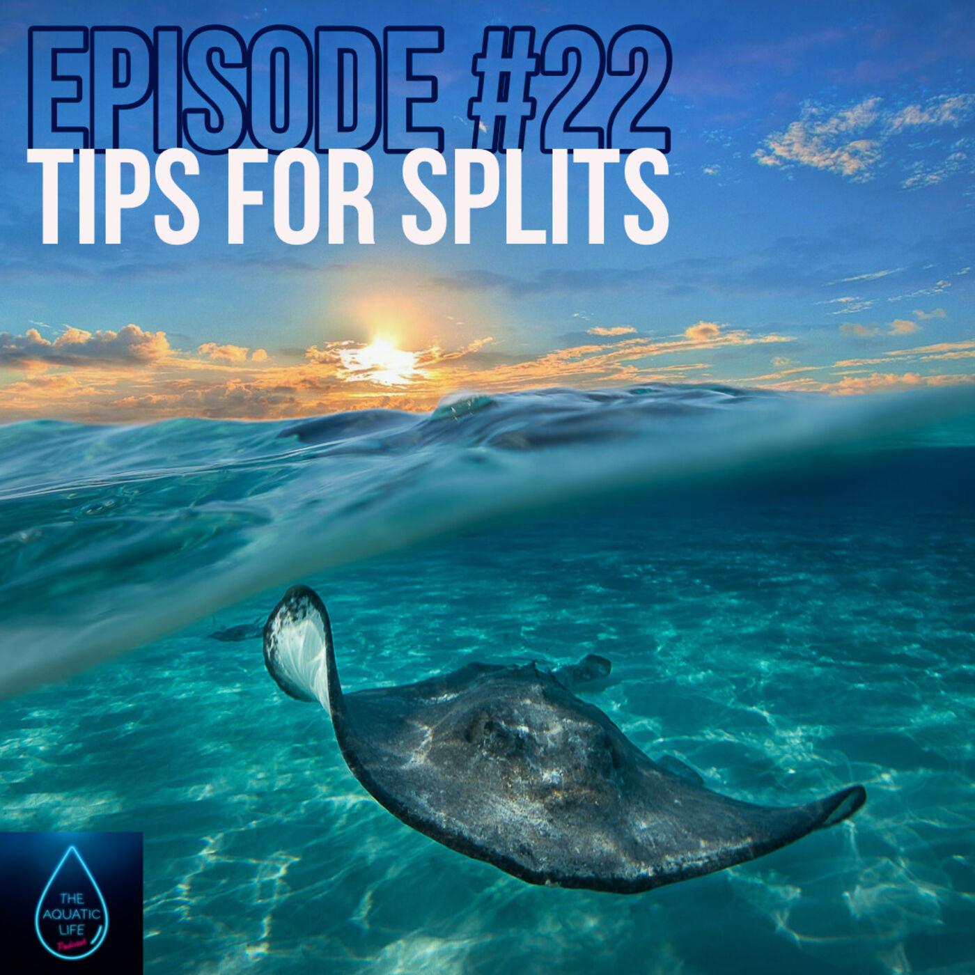 029: Erin Quigley of "Go Ask Erin" Teaches Underwater Photographers ...