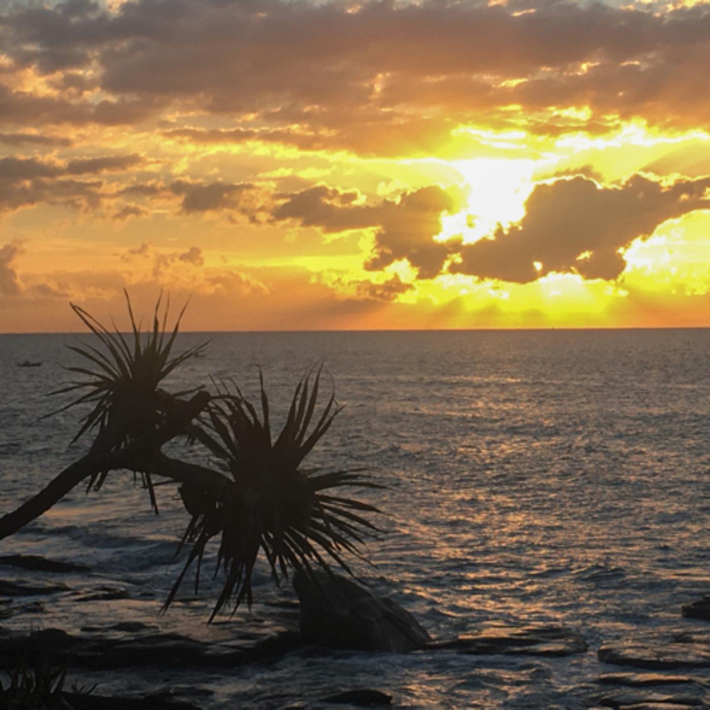 The Art of Grateful Living - The Art of Graceful Living (podcast ...