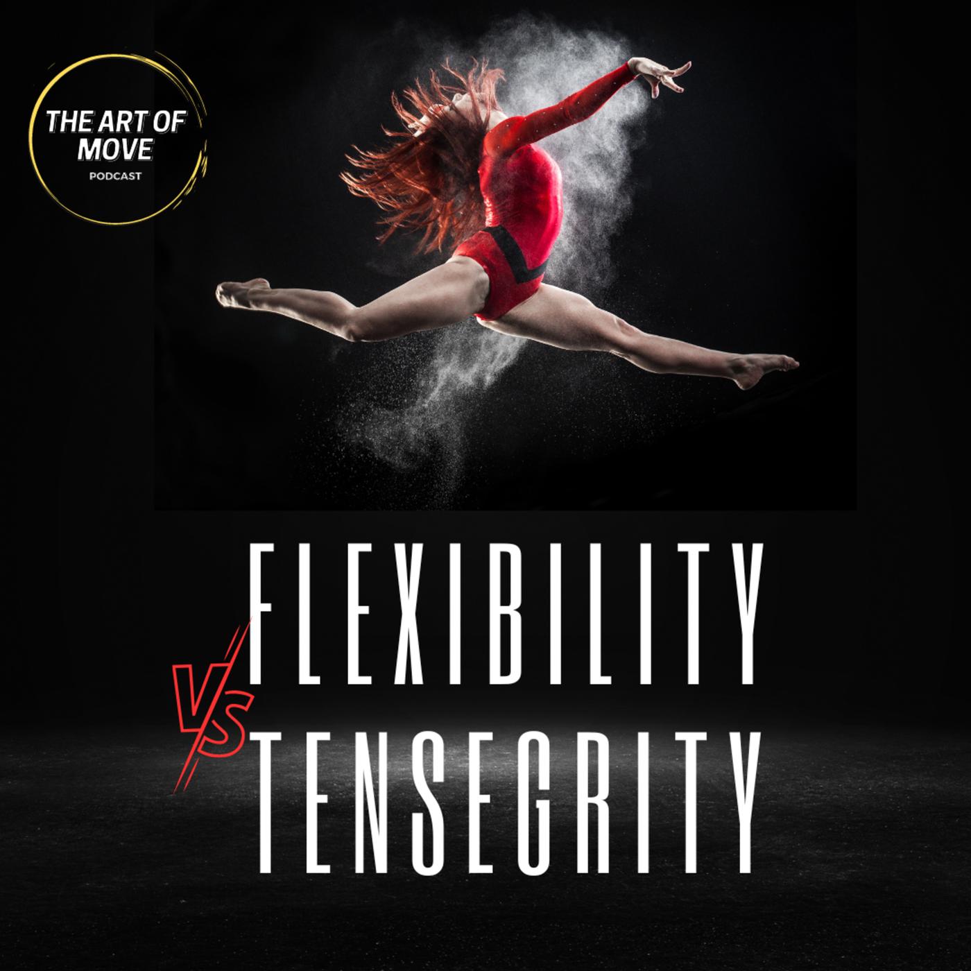 Ep 18 - Elastic Energy & Tissue Quality - The Art of Move Podcast ...