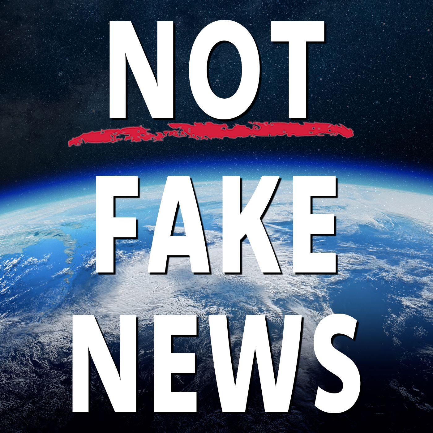 194: Not Fake News - 24 June 2024 - The Basement Hangout (podcast ...