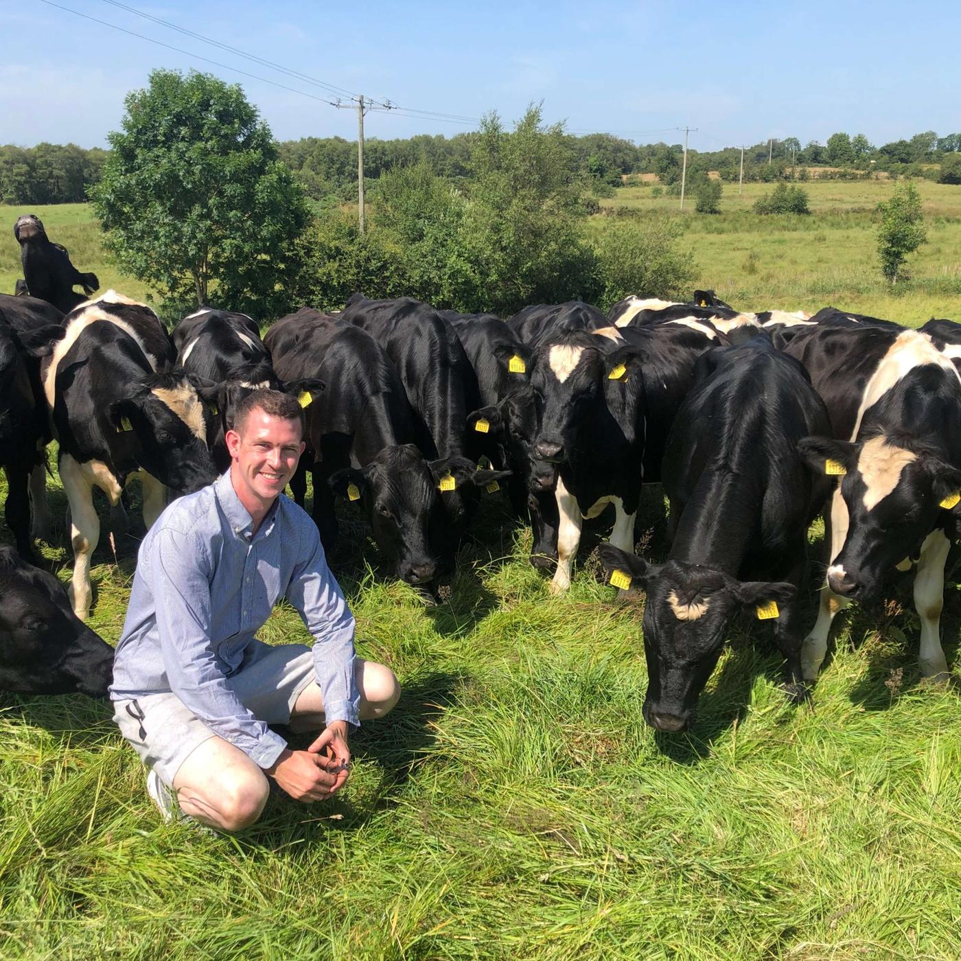 The benefits of reseeding this spring - The Beef Edge (podcast ...