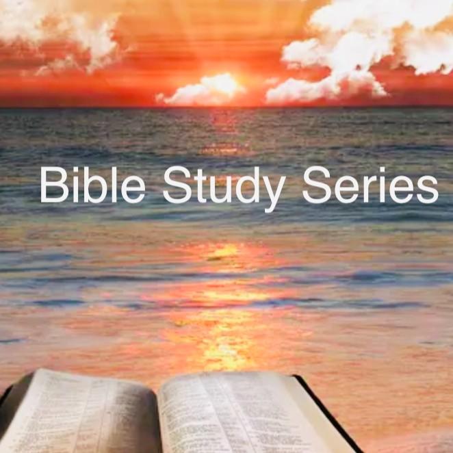 The Bible Study Series(week two) Training For The Christian Life ...