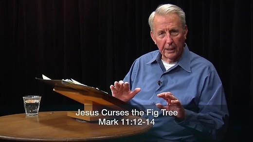 Mark #29: Lesson Withered Fig Tree & Authority of Jesus Challenged ...
