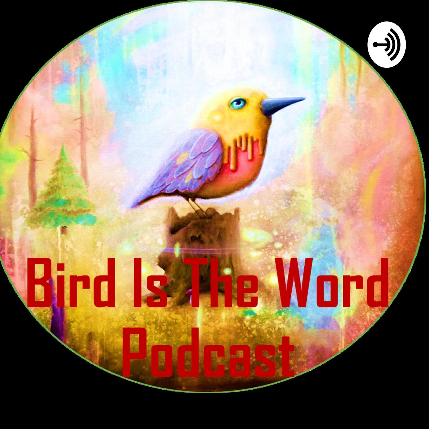 The Bird Is The Word Podcast - Birdsey | Listen Notes
