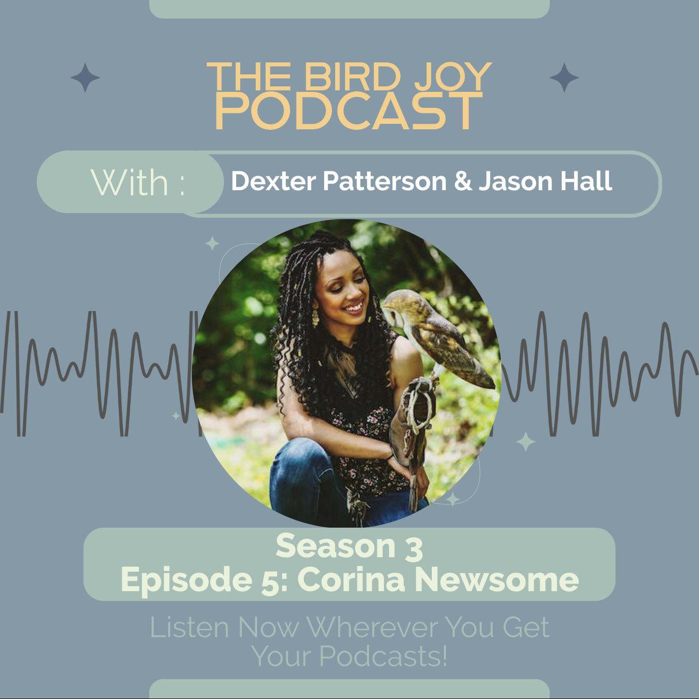 The Joy of Vultures with Kojo Baidoo - The Bird Joy Podcast | Listen Notes