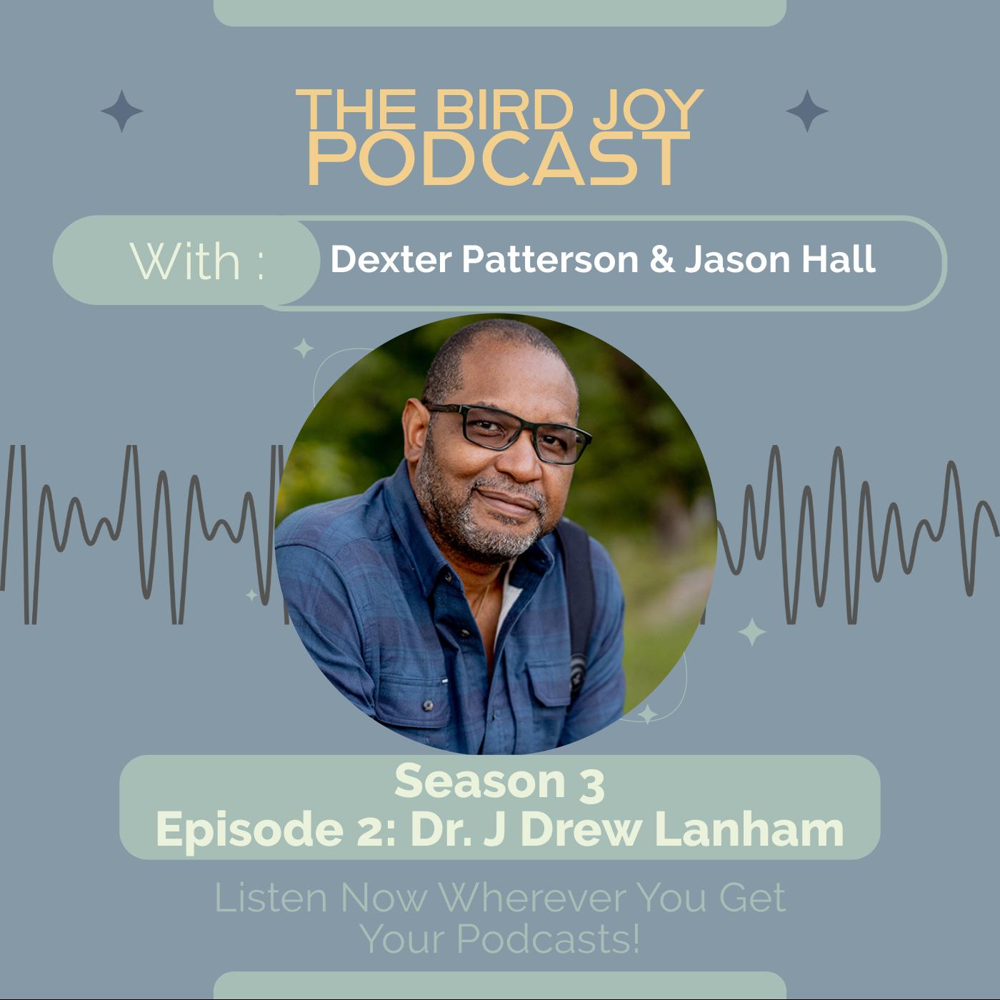 The Joy of Vultures with Kojo Baidoo - The Bird Joy Podcast | Listen Notes