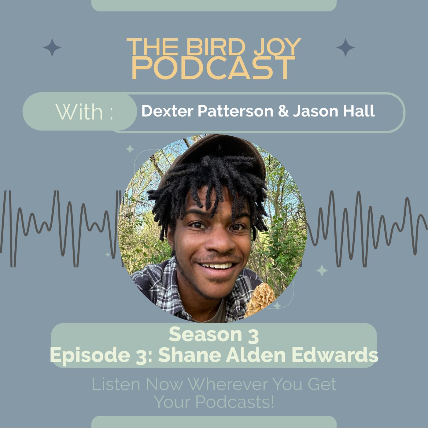 The Joy of Vultures with Kojo Baidoo - The Bird Joy Podcast | Listen Notes