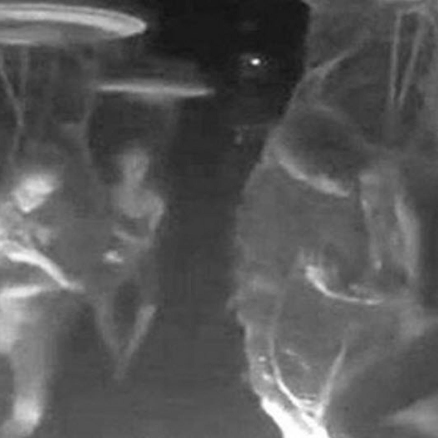 Dulce Base: Nightmare Hall - The Brohio Podcast | Listen Notes