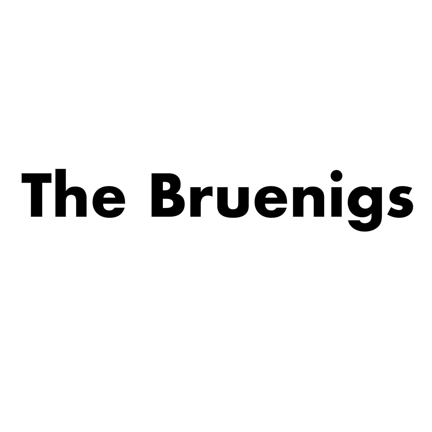 The Bruenigs (podcast) - Elizabeth and Matt Bruenig | Listen Notes