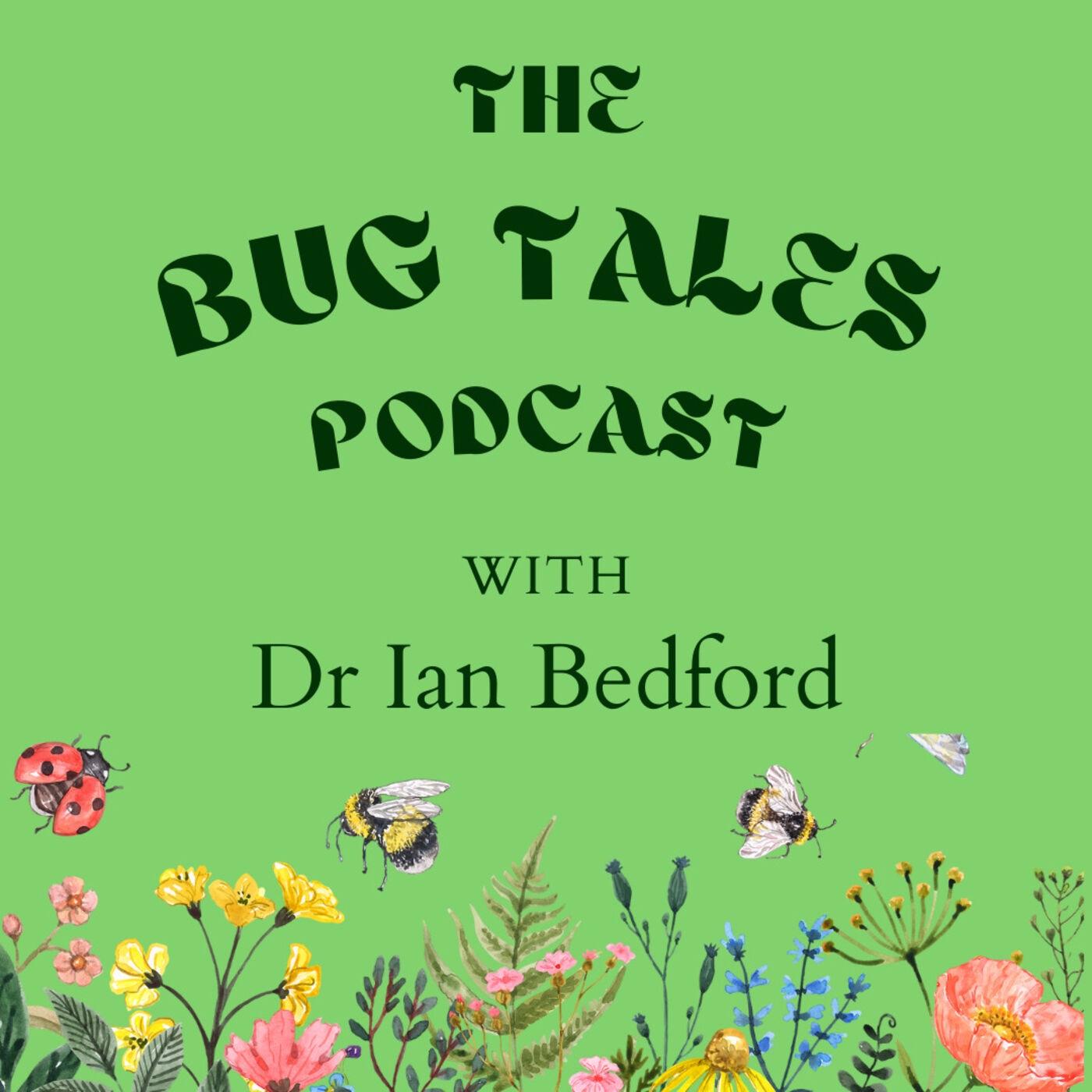 The Carrot Root Fly - The Bug Tales Podcast | Listen Notes