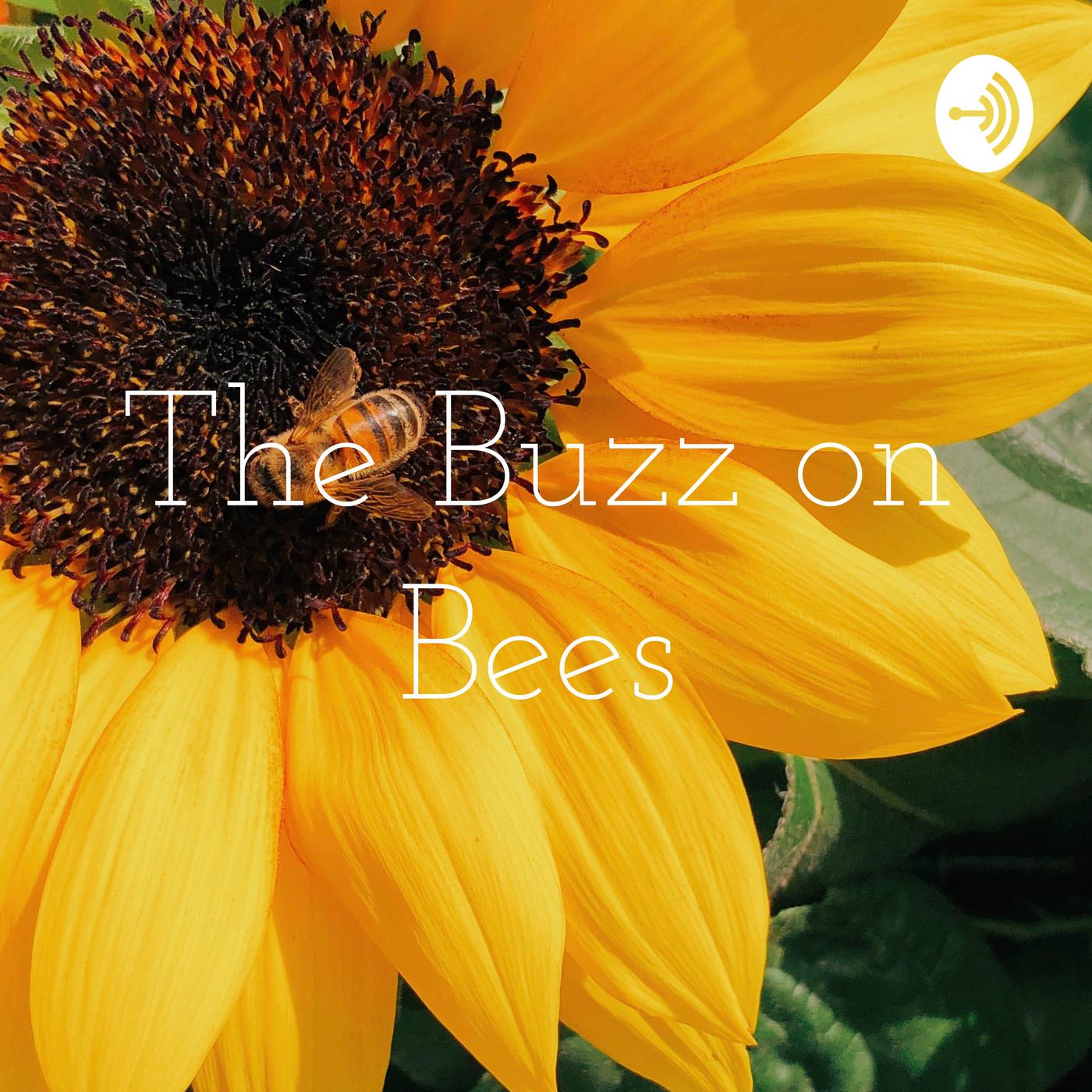 The Buzz on Bees (podcast) - Ellie Alexander | Listen Notes