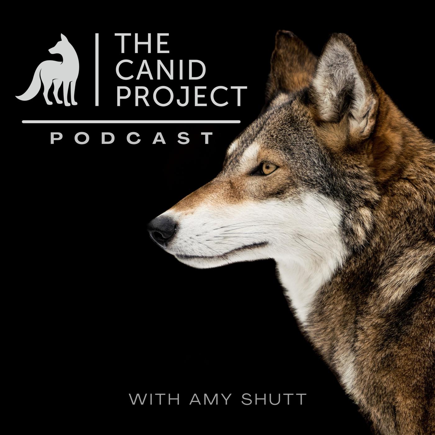 The Canid Project (podcast) - The Canid Project | Listen Notes