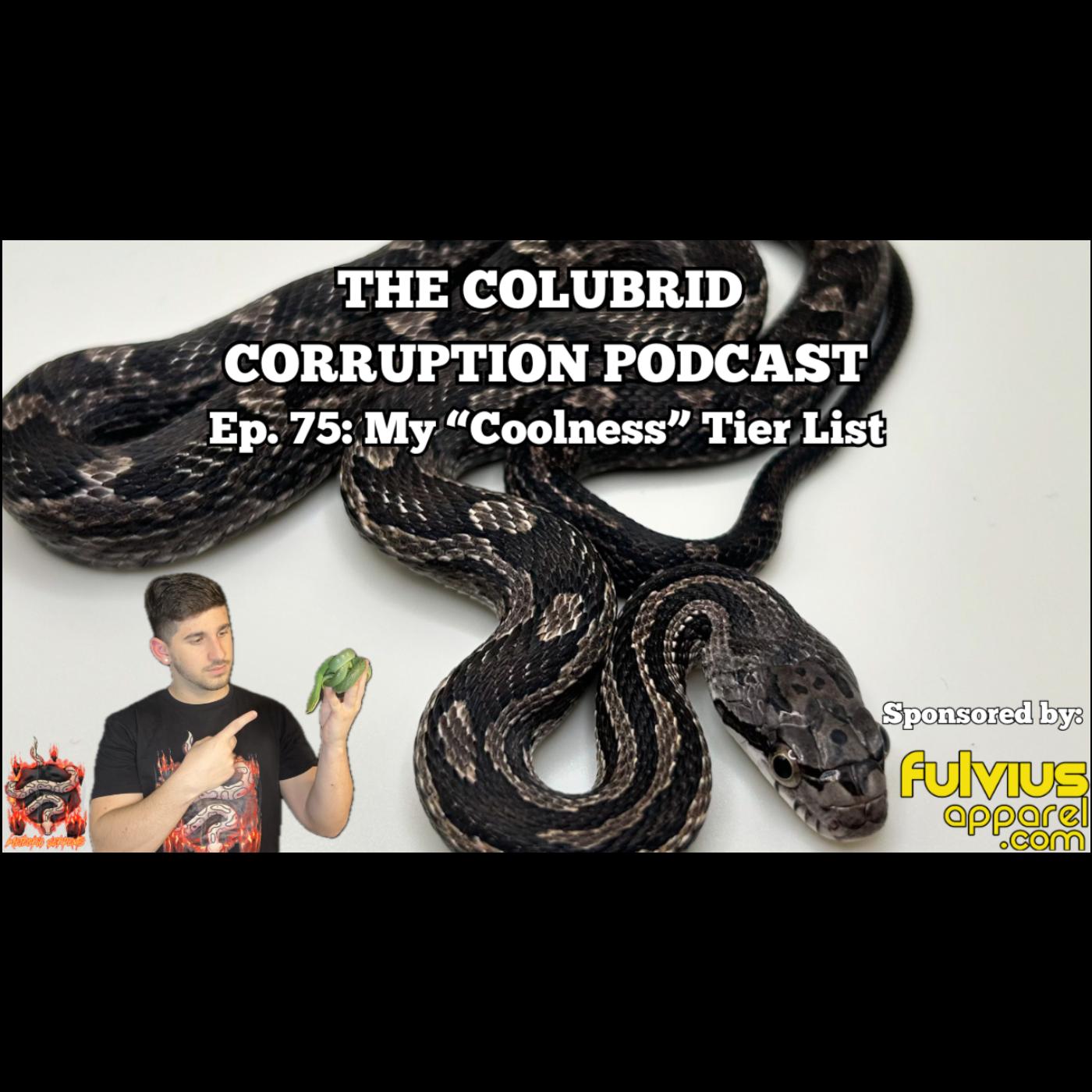 The Lesser Known Texas Rat Mutations w/ Daniel Jarvis | Colubrid ...
