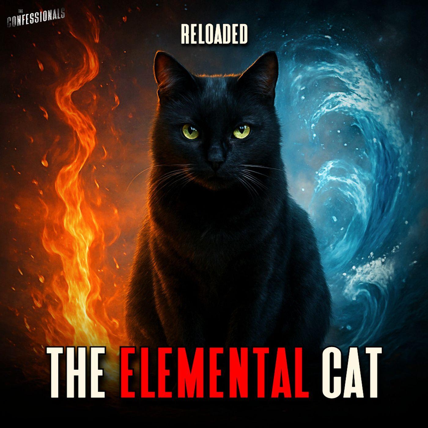 RELOADED | 321: The Elemental Cat - The Confessionals (podcast ...