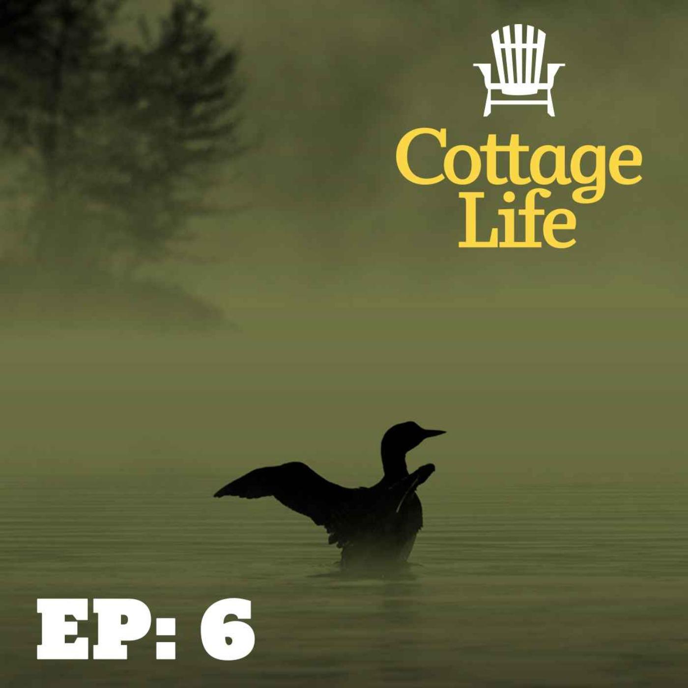 Summer romance with novelist Carley Fortune - The Cottage Life Podcast ...