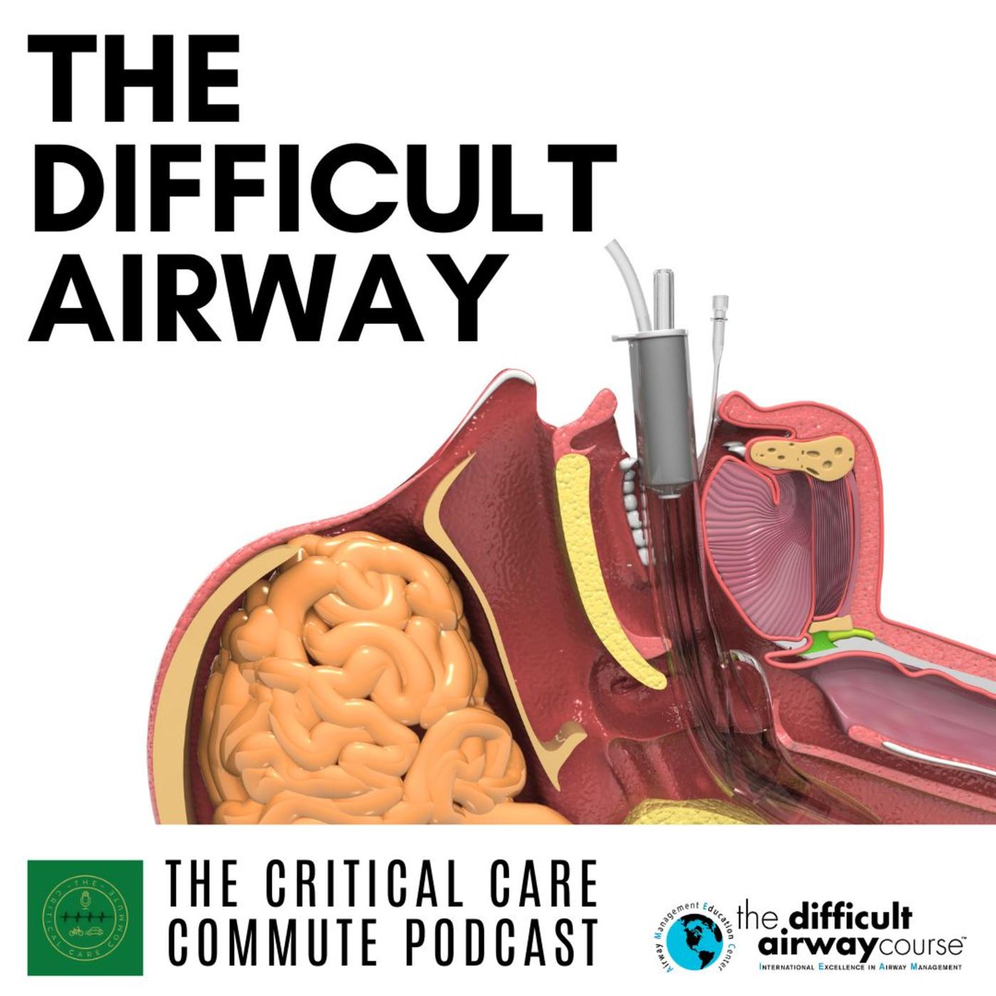 Prof. Dan Martin on being Editor-in-Chief of JICS and Oxygen Extremes ...