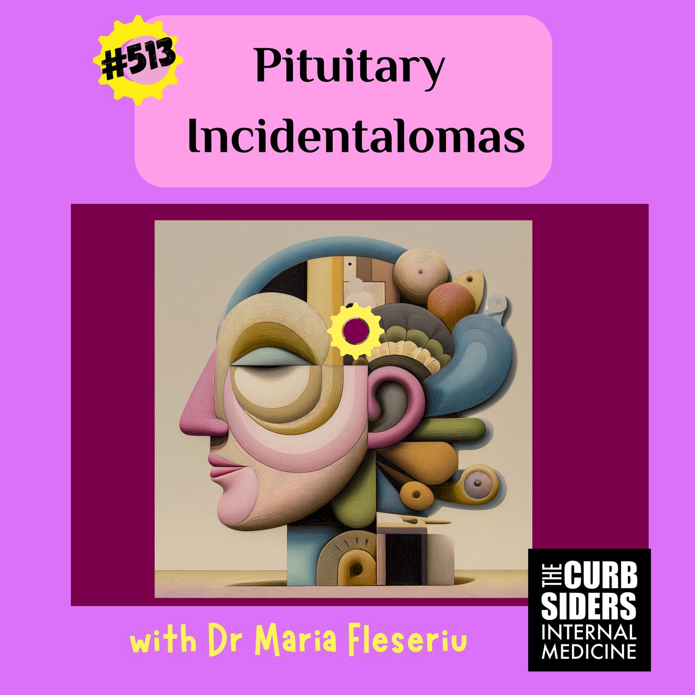 #505 Demystifying Dizziness with Dr. David Hale - The Curbsiders ...