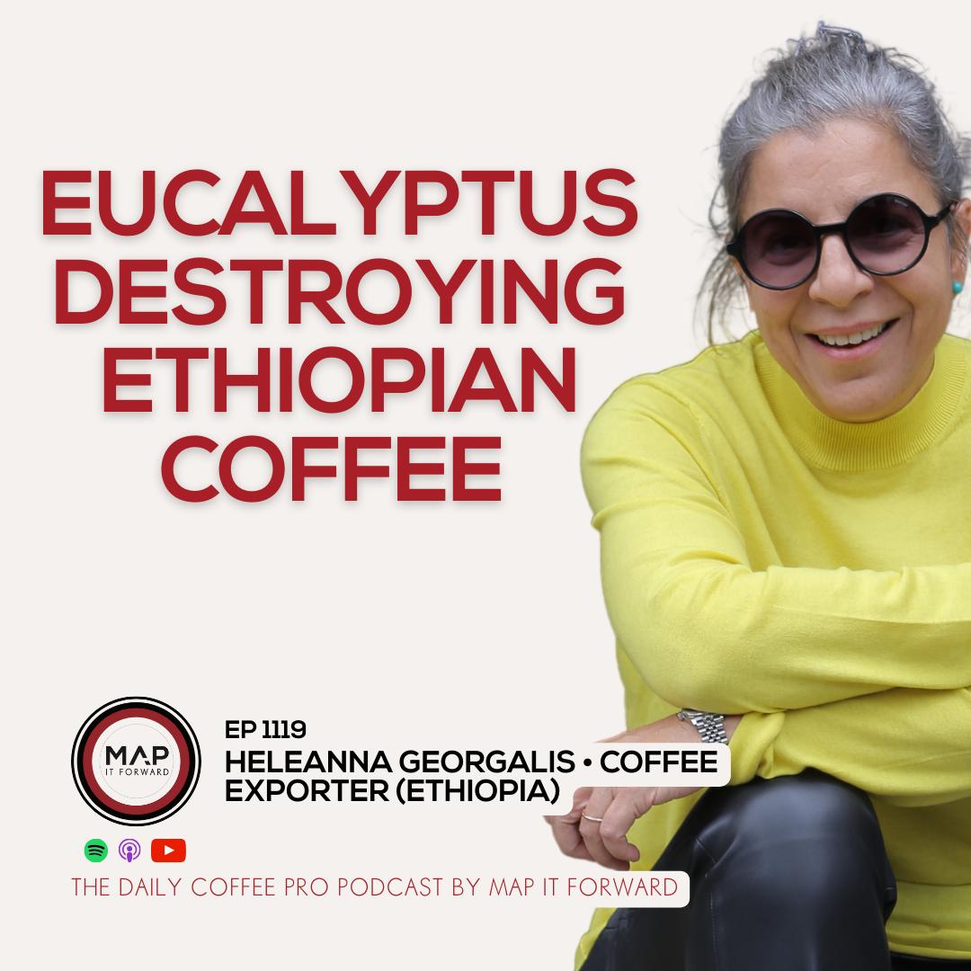 EP 1125 Matt Toogood - The Wider Coffee Crisis - The Daily Coffee Pro ...