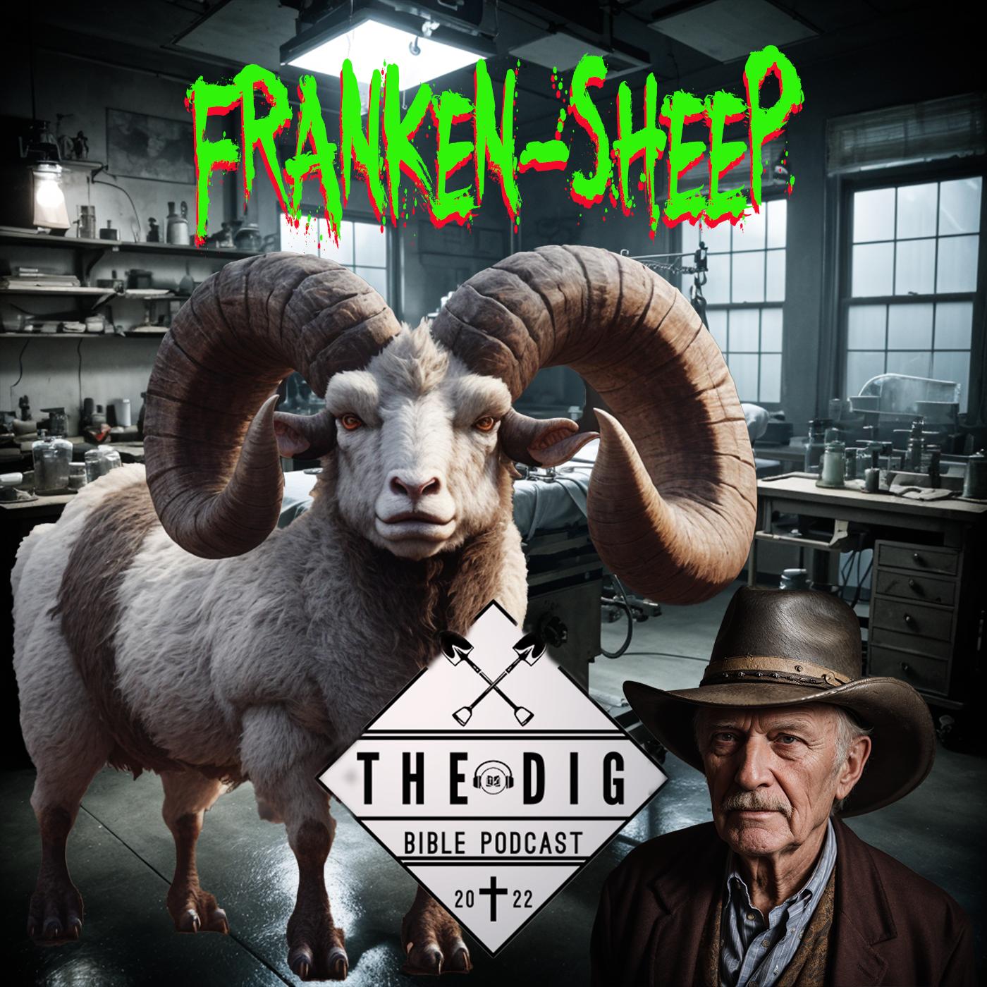 The Franken-Sheep - The Dig Bible Podcast | Listen Notes