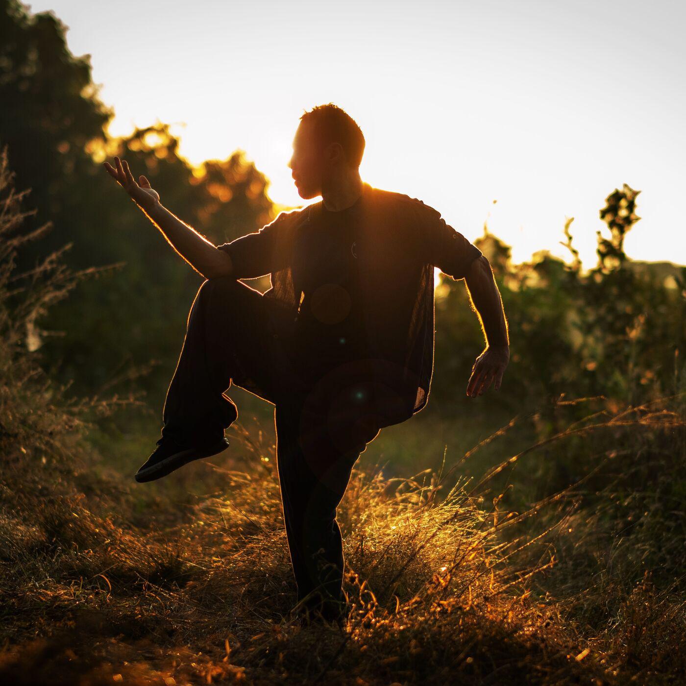 Master Tevia Feng on Qigong for Increased Health and Happiness | Listen ...