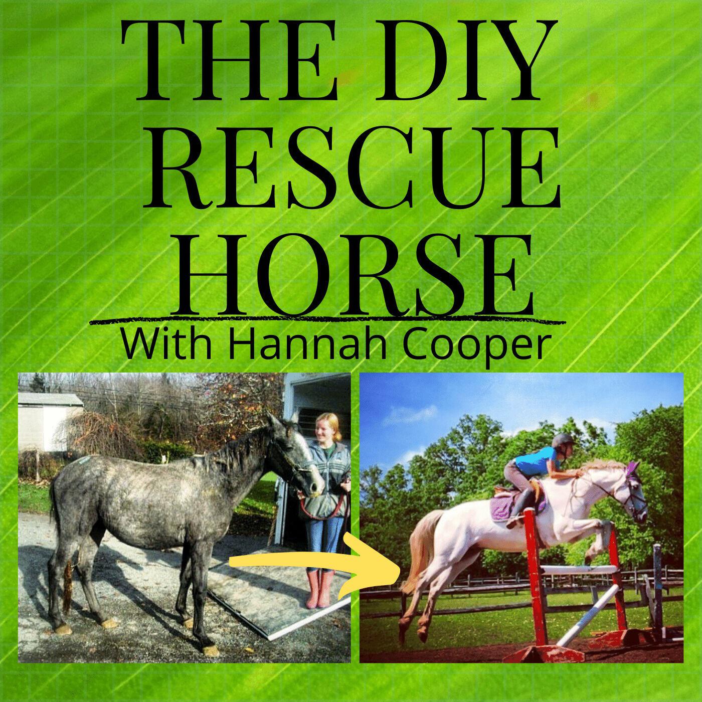 Deciphering Your Horse's Back History - Episode 14 - The DIY Rescue ...