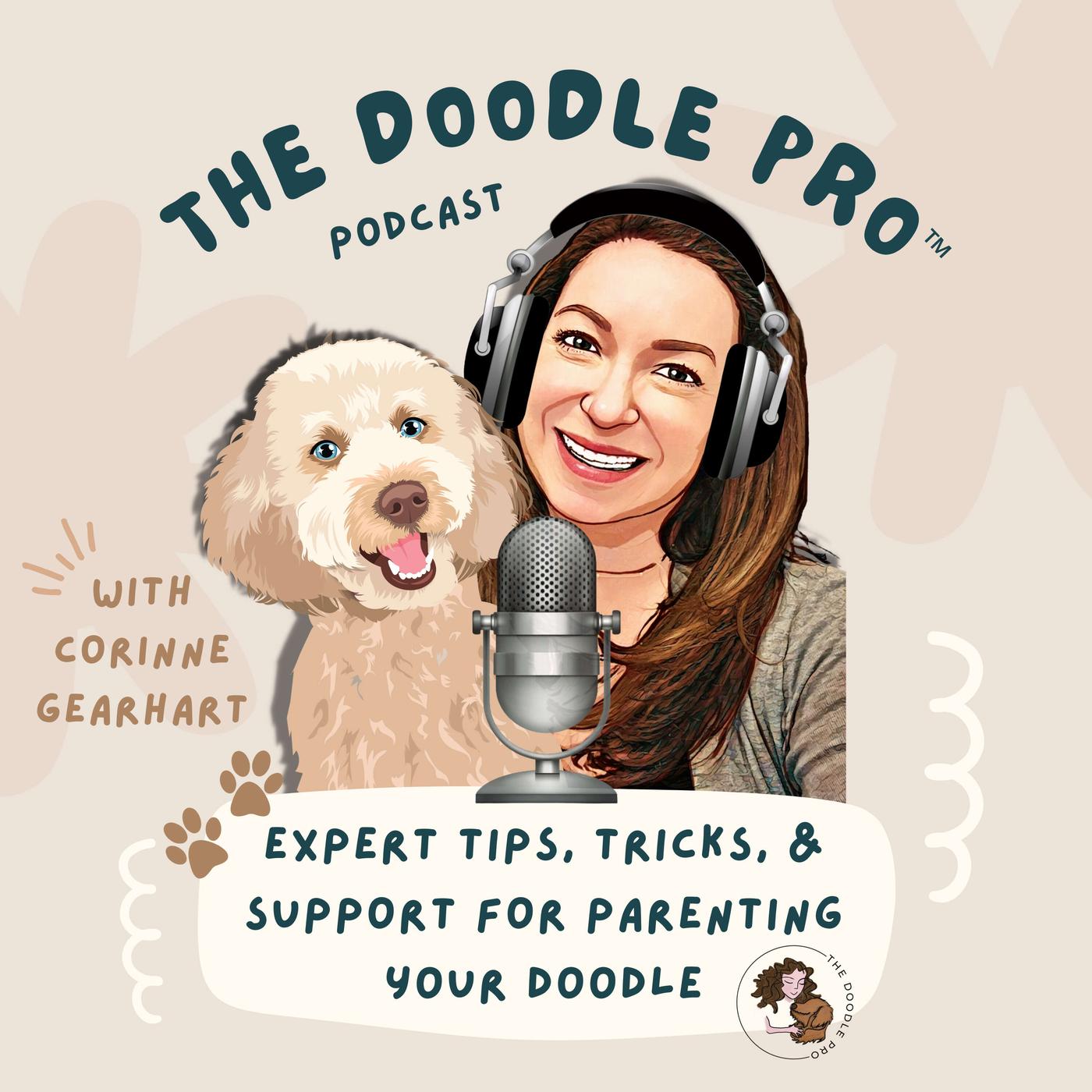 The Doodle Pro Podcast: Unleashing Expert Training, Grooming, & Health ...