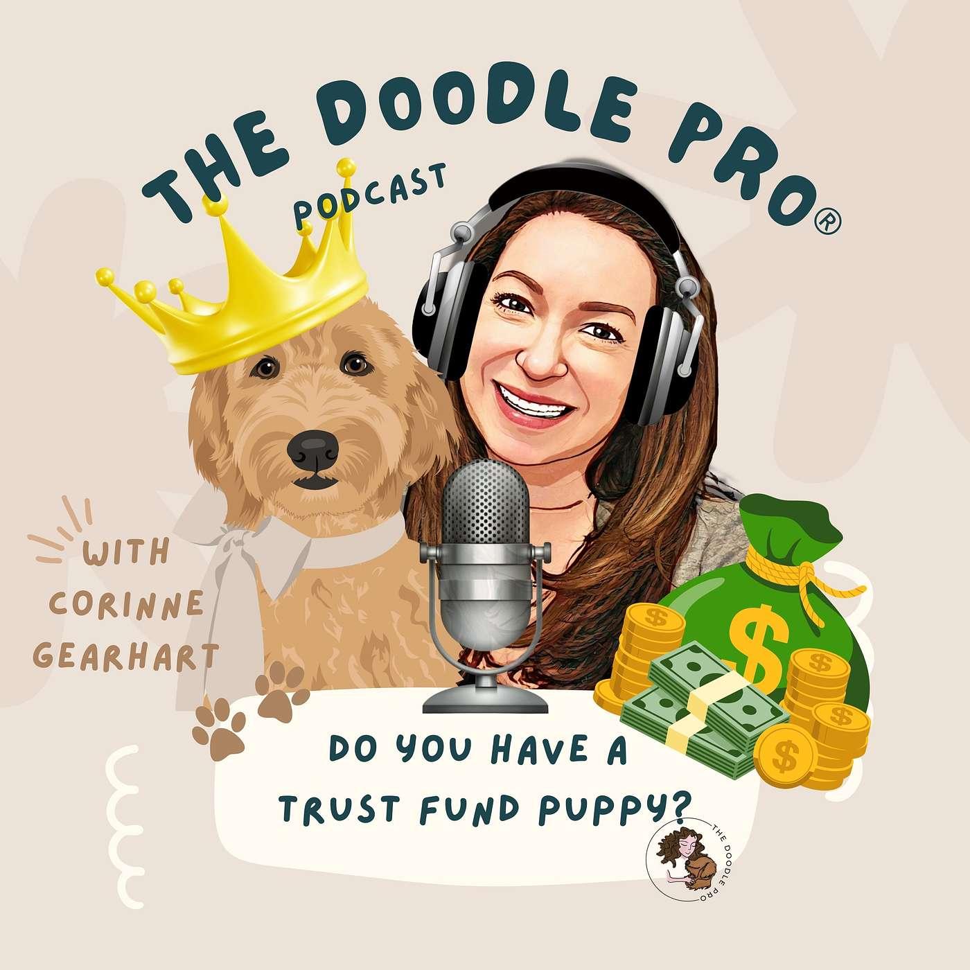 77: Do You Have a Trust Fund Puppy? (Spot the Pattern—No Shame, All ...