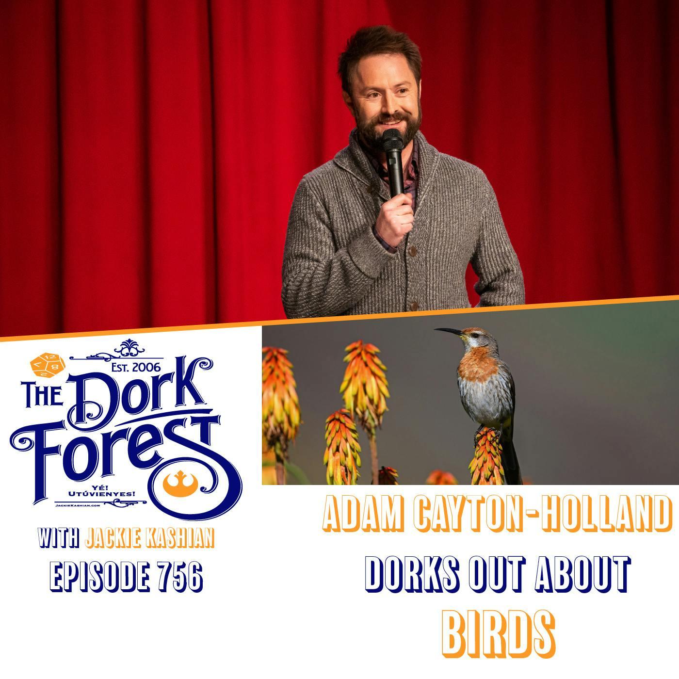 Adam Cayton-Holland and MORE BIRDS – EP 756 - The Dork Forest (podcast ...