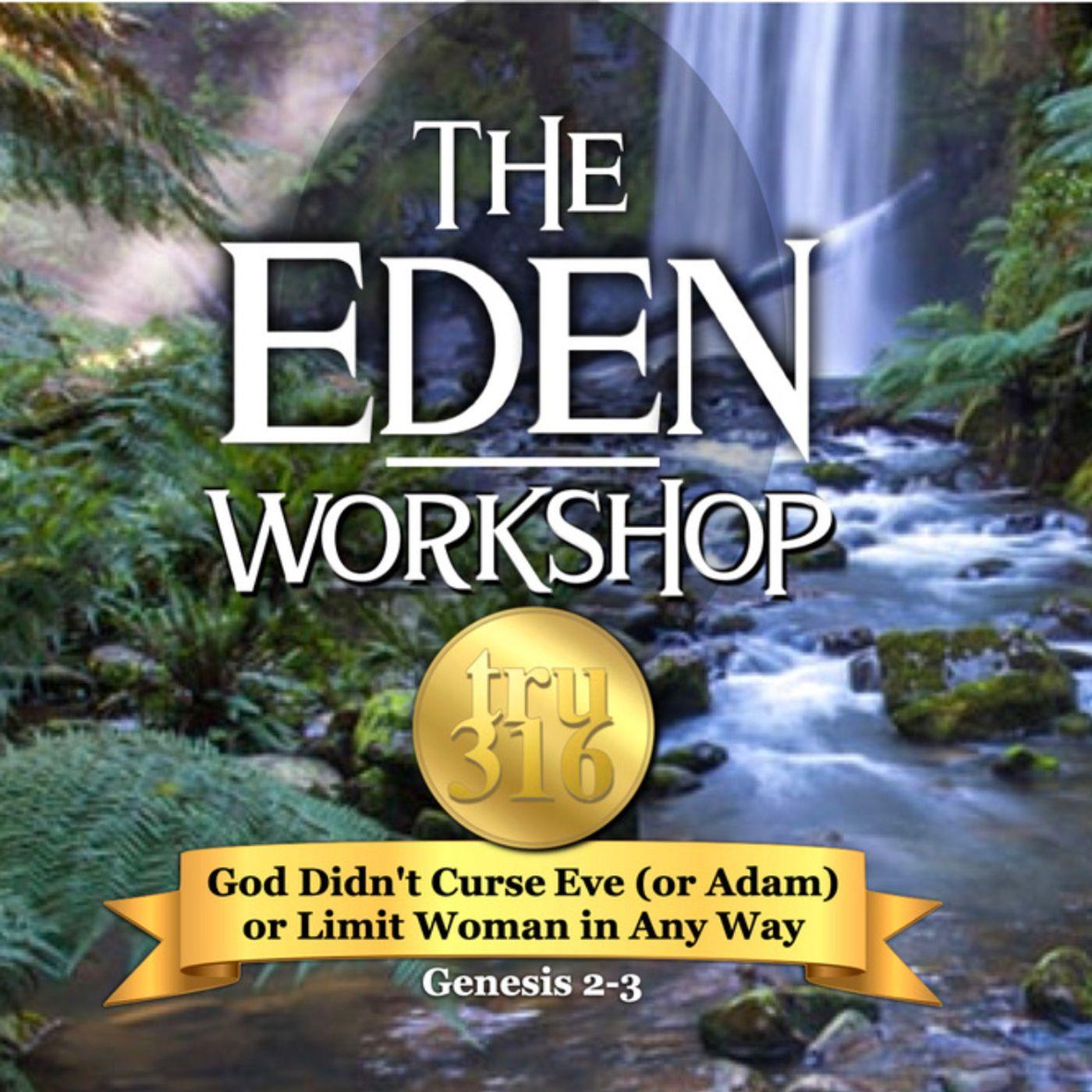 Jo Saxton, Part 2, Using God's gifts in leadership! | Listen Notes