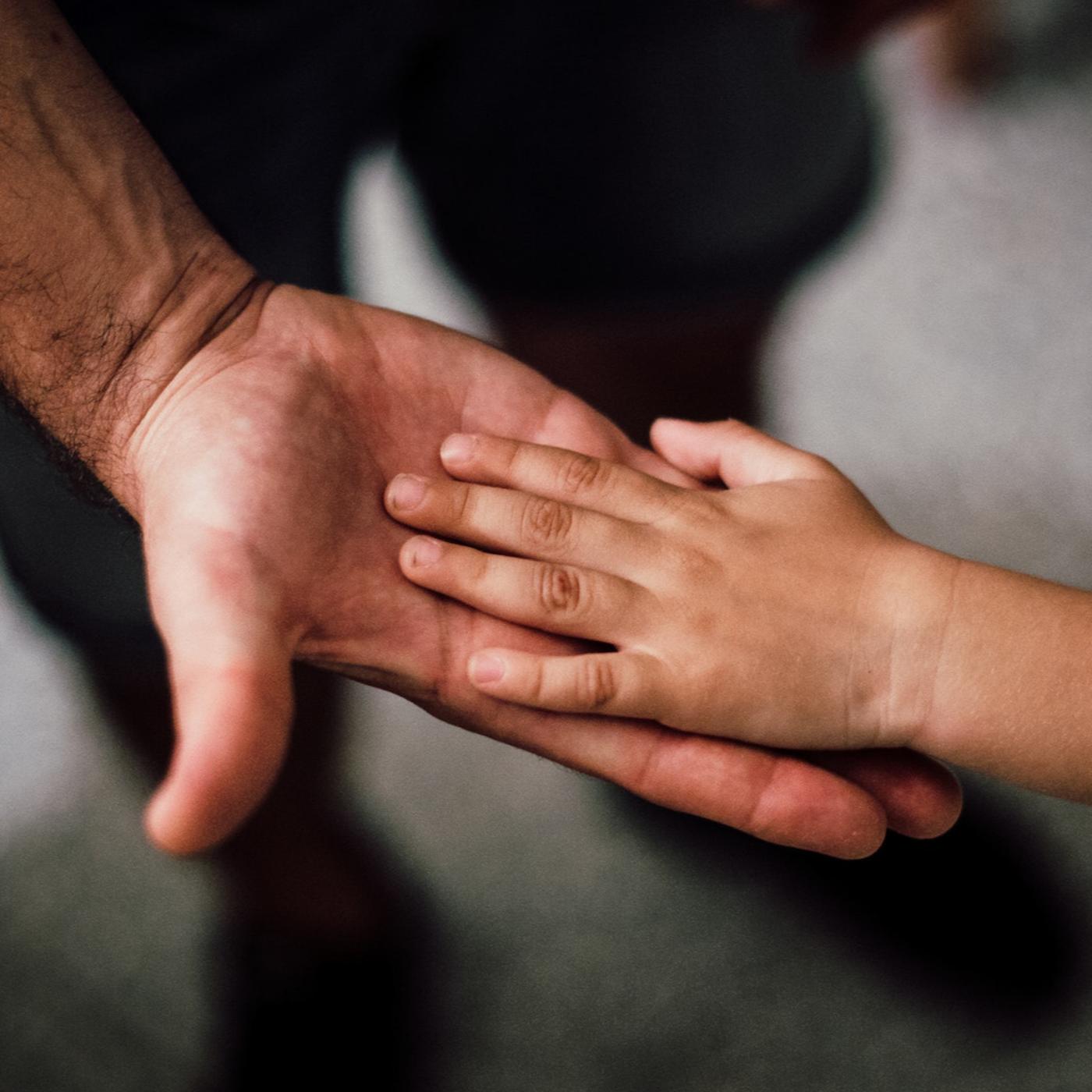 Exploring the SCP Foundation: SCP-7686 - R is for Reshape | Listen Notes