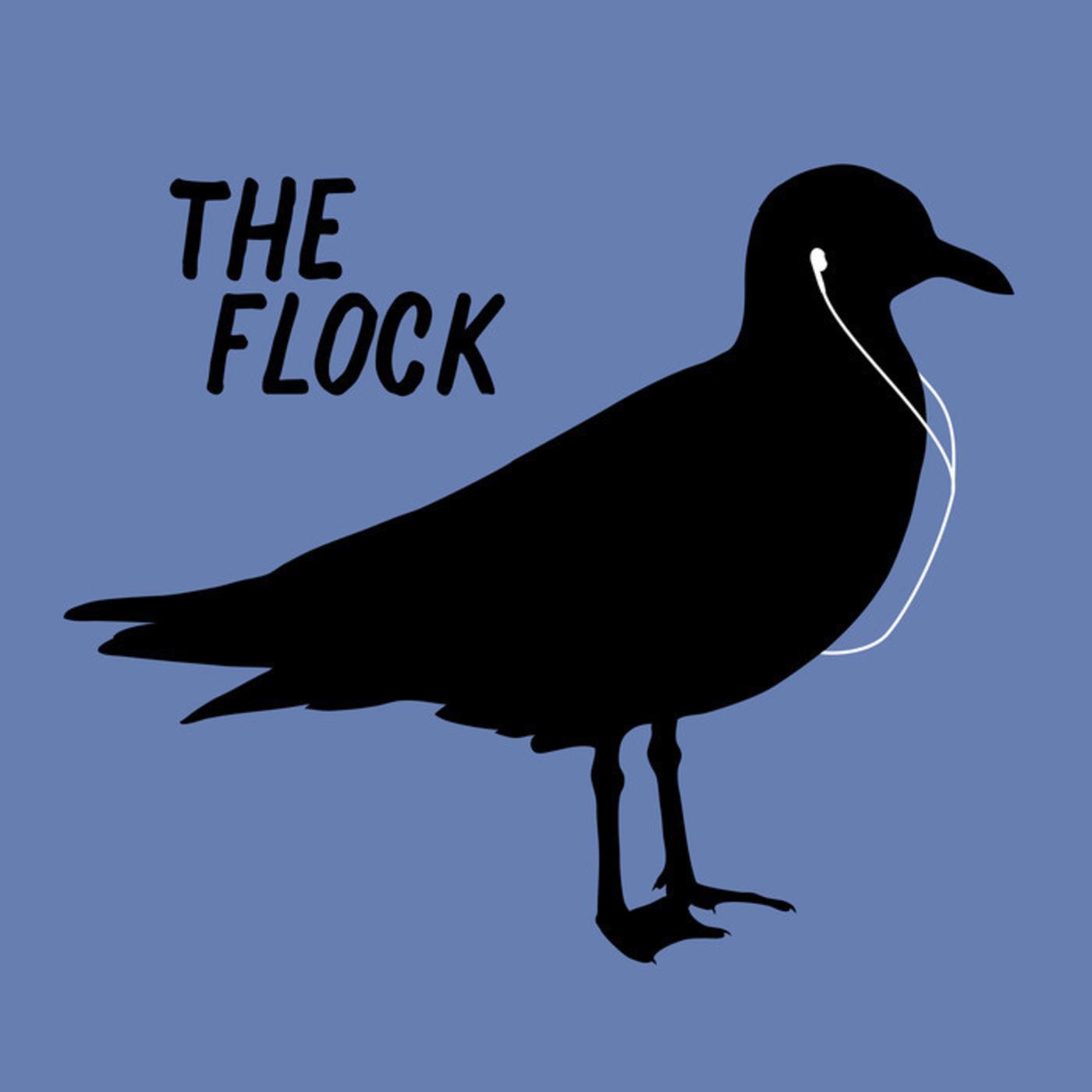 Sonic Explains Wifi - The Flock Podcast | Listen Notes