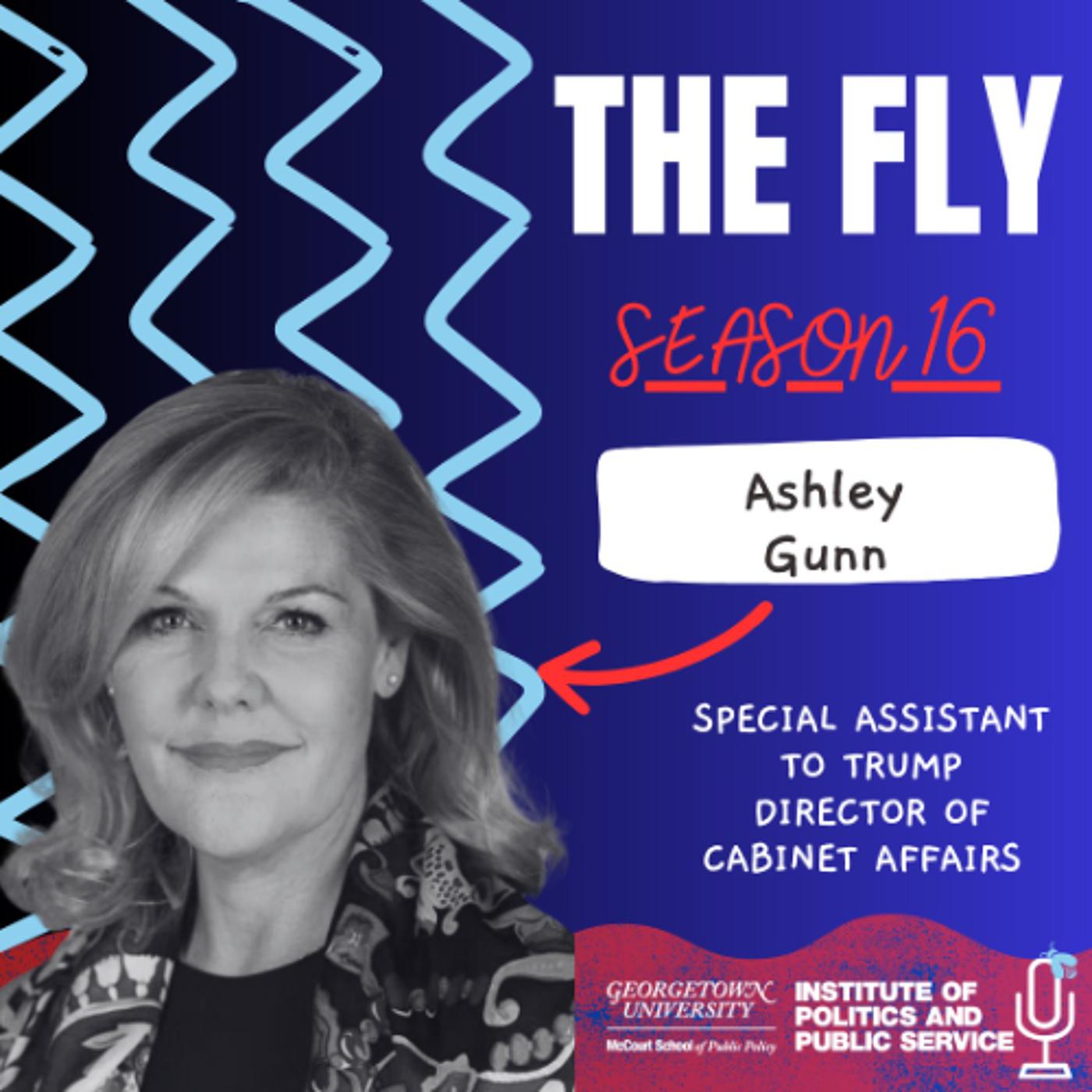 Ashley Gunn: “We are more alike than we are different” | Listen Notes