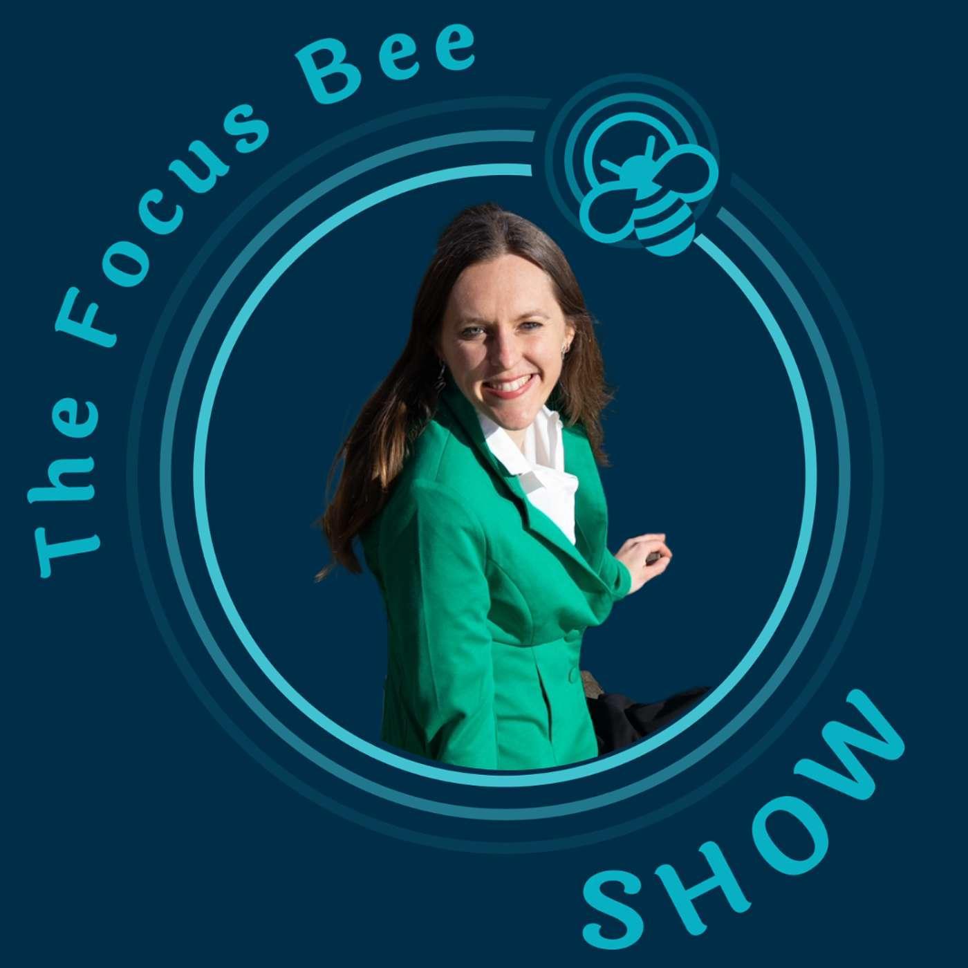 (254) Are We Meant To Be Successful? - The Focus Bee Show (podcast ...