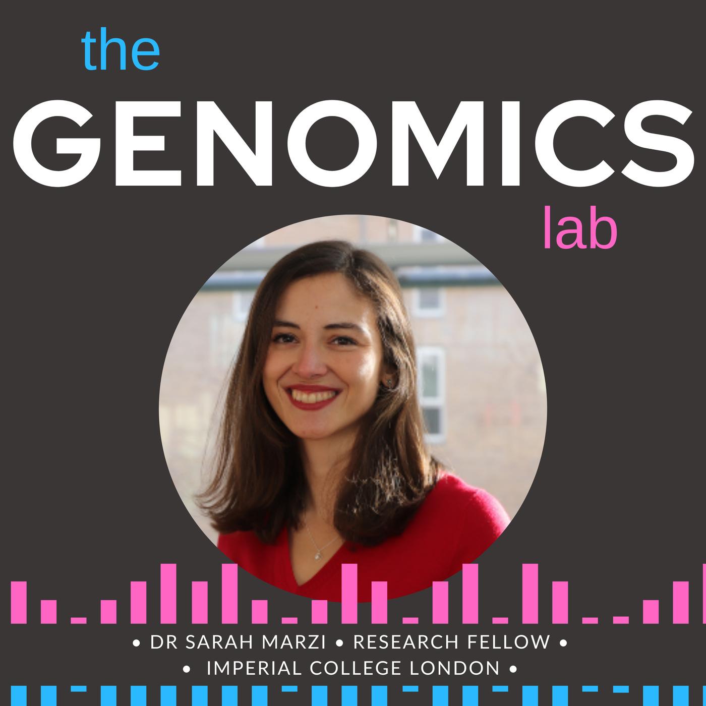 Transposons and epigenetic priming of enhancers within early human ...