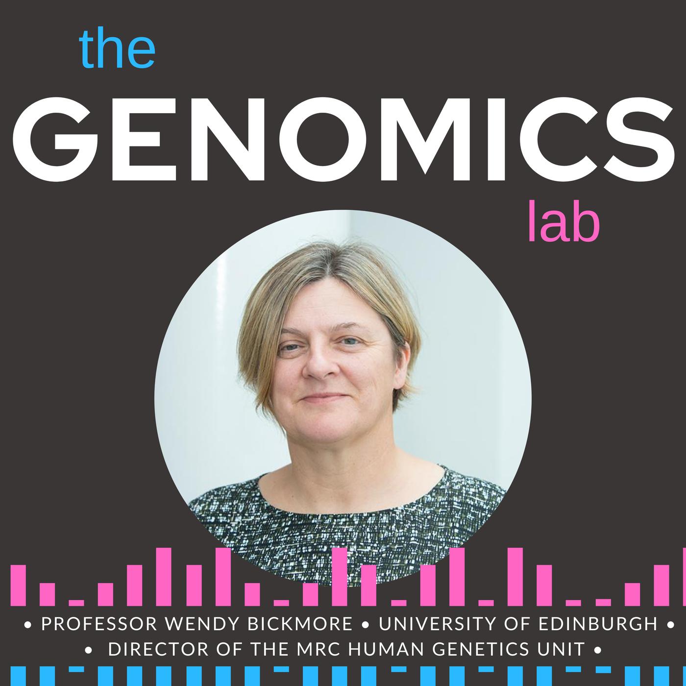 Transposons and epigenetic priming of enhancers within early human ...