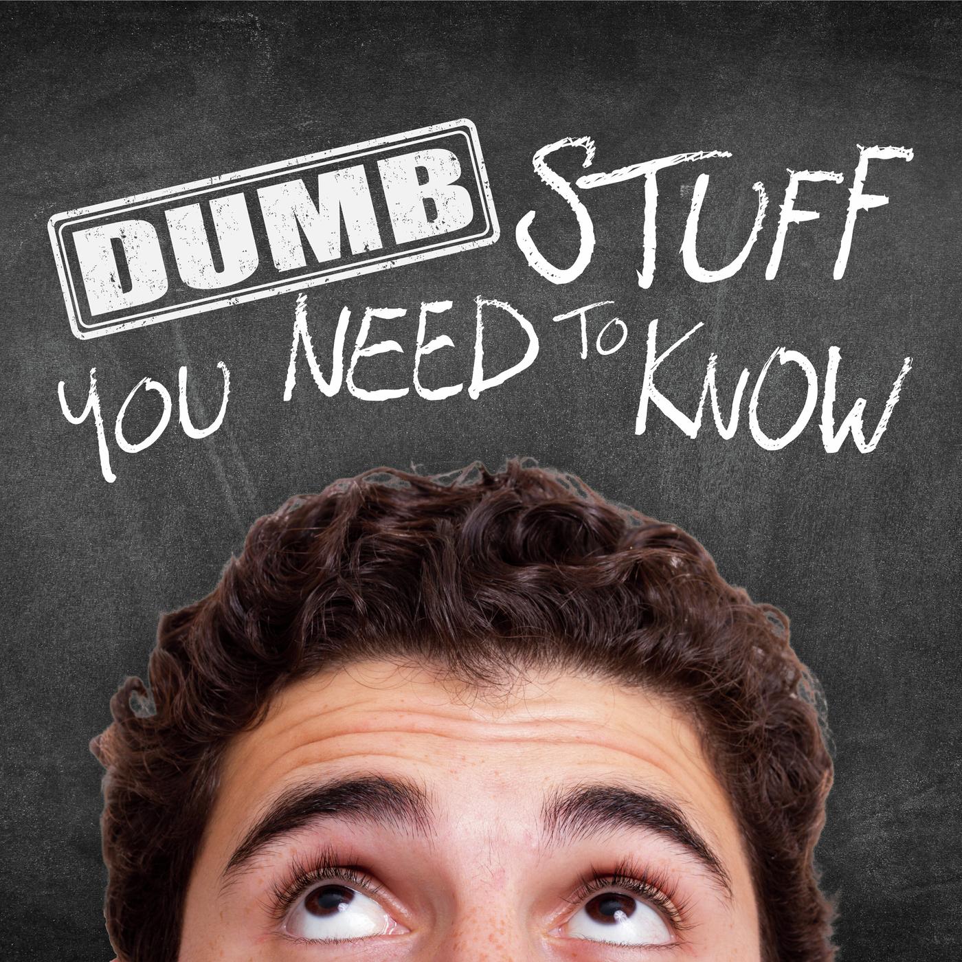 Dumb Stuff You Need to Know 6-25-24 - The Greg & Dan Show Podcast ...