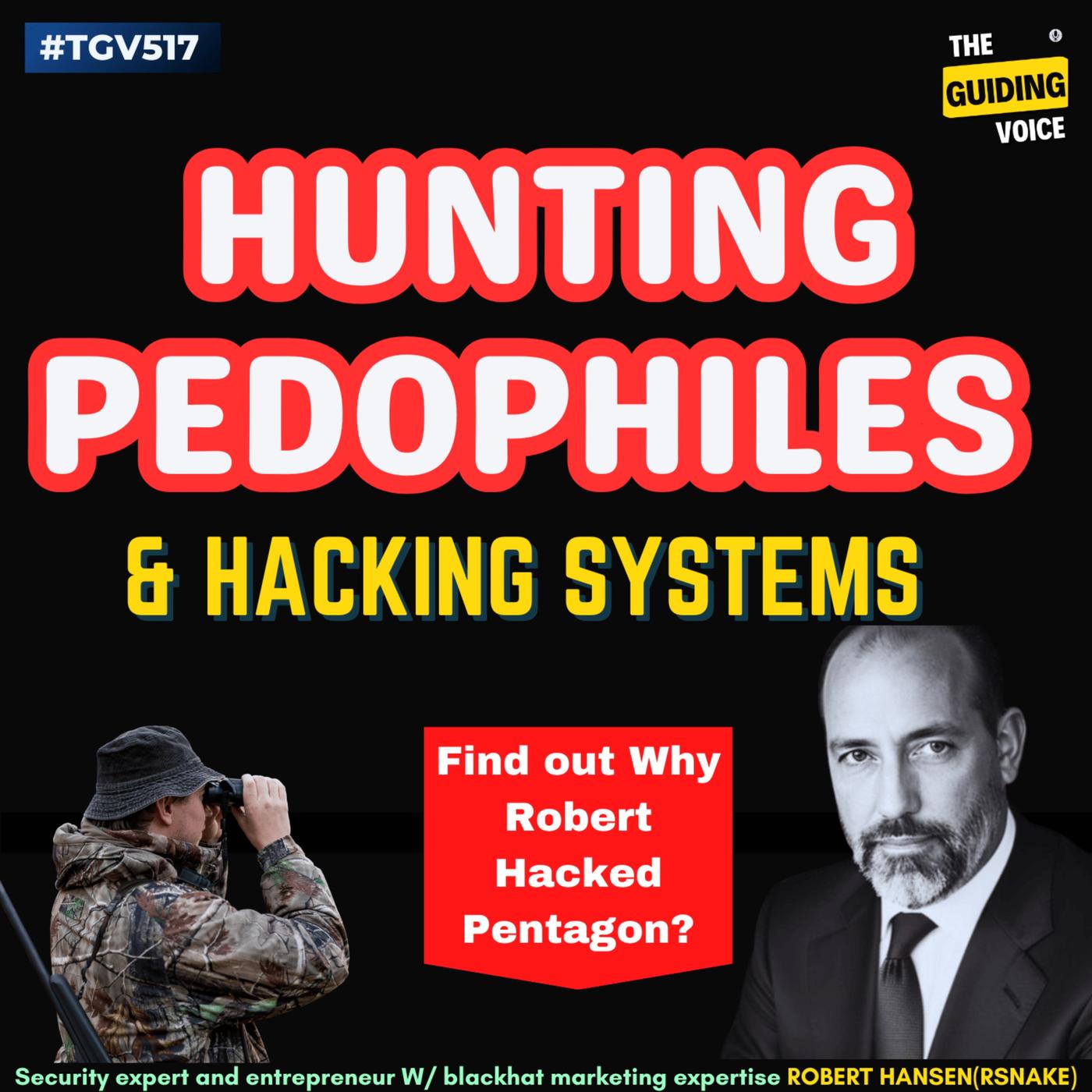 Hunting Pedophiles, Hacking Systems and exposing Security ...