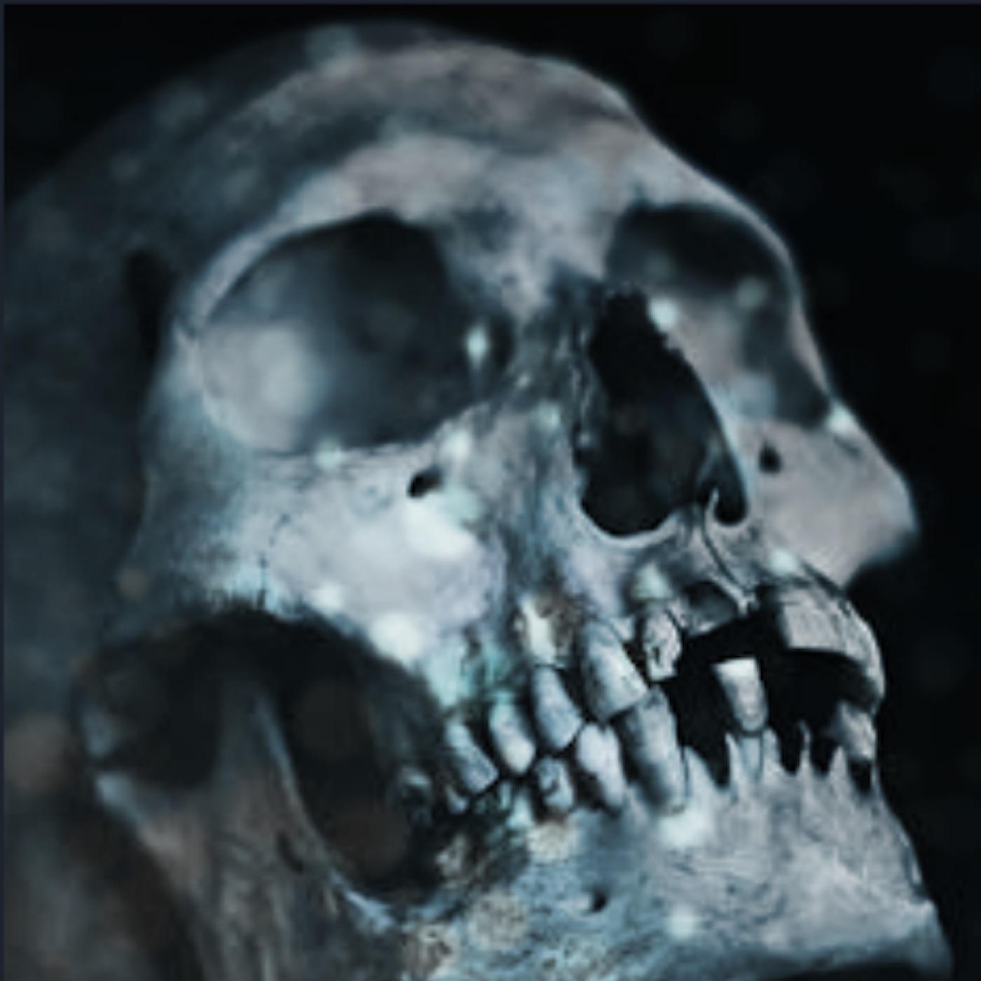 The Hamlet Podcast - Conor Hanratty | Listen Notes