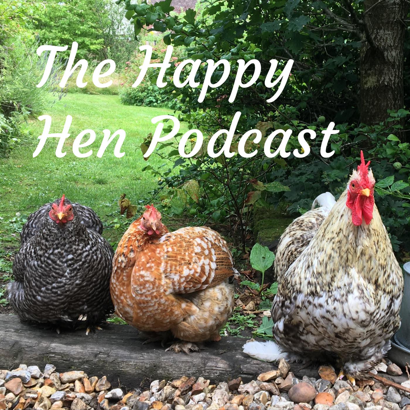 "Chickens can't see in the dark" - The Happy Hen Podcast | Listen Notes