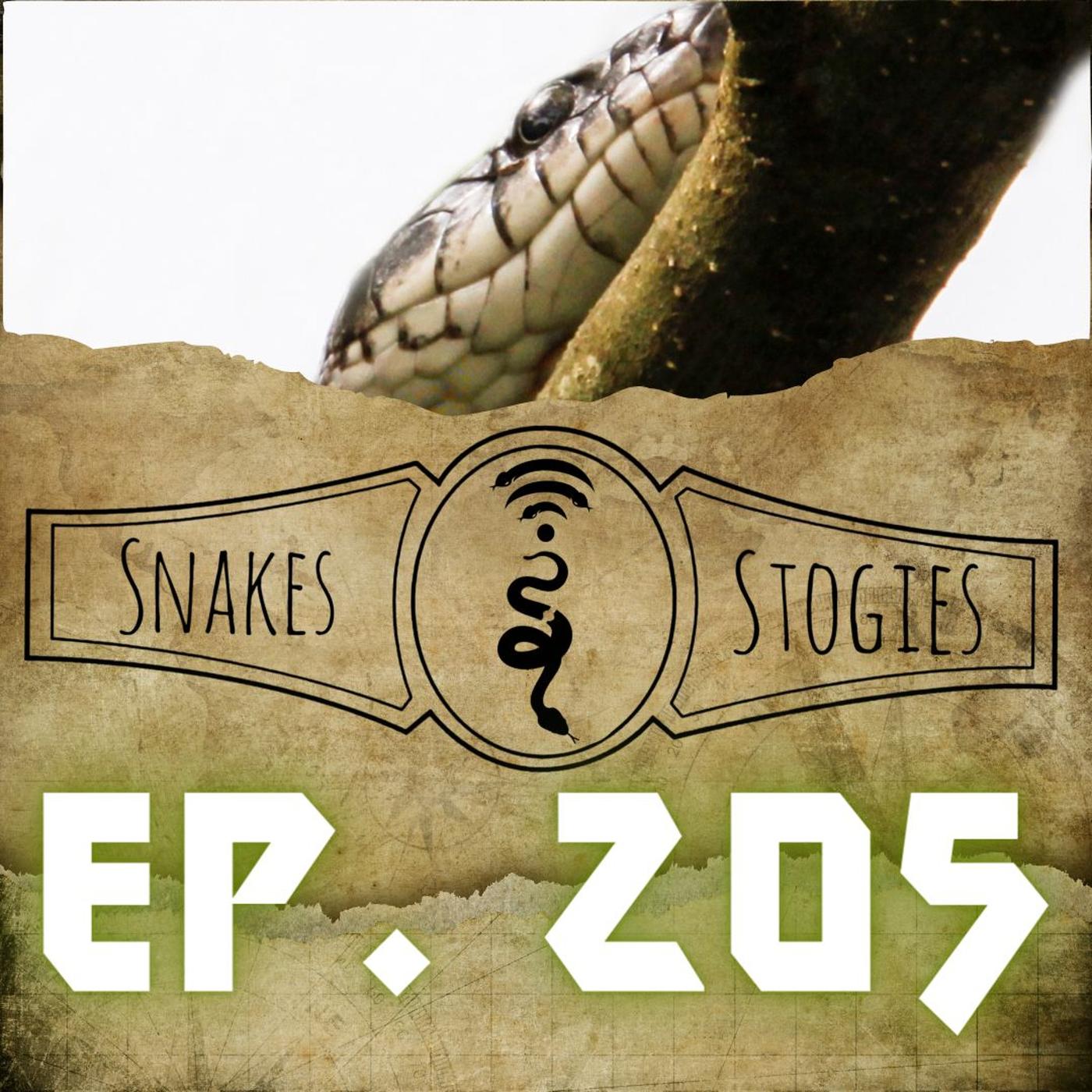 Tarantulas with Nisarg Shah | Snakes & Stogies Ep. 204 | Listen Notes
