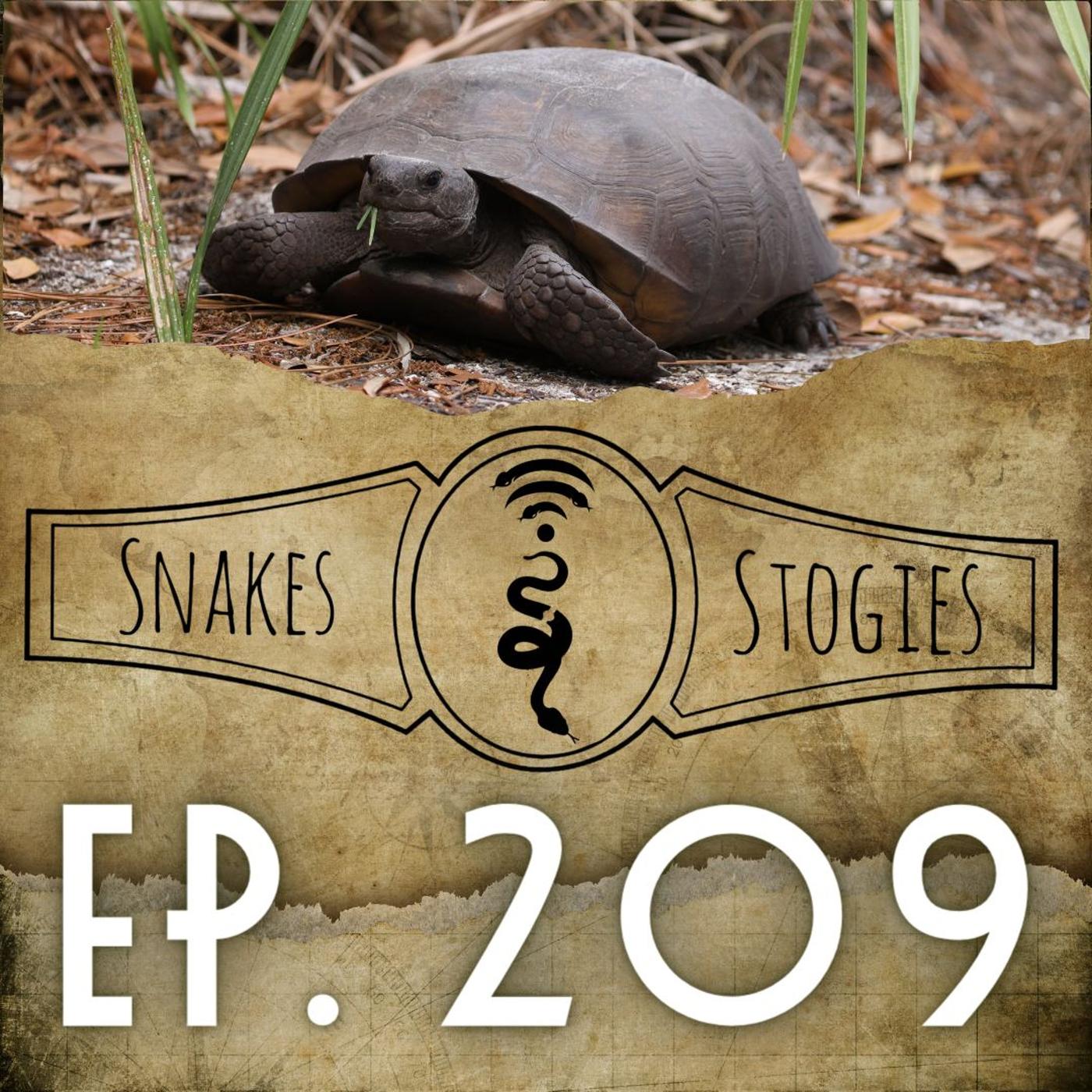 Gopher Games Update with Brent Fannin | Snakes & Stogies Ep. 209 ...