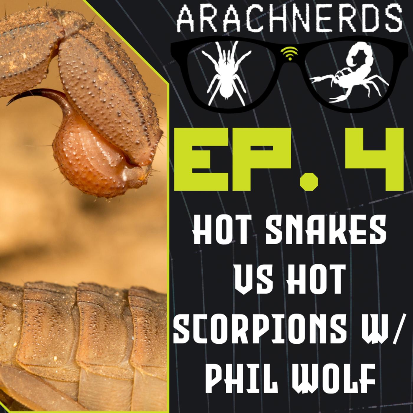 The Grahn-d Return | Snakes & Stogies Ep. 222 - The Herpetoculture ...