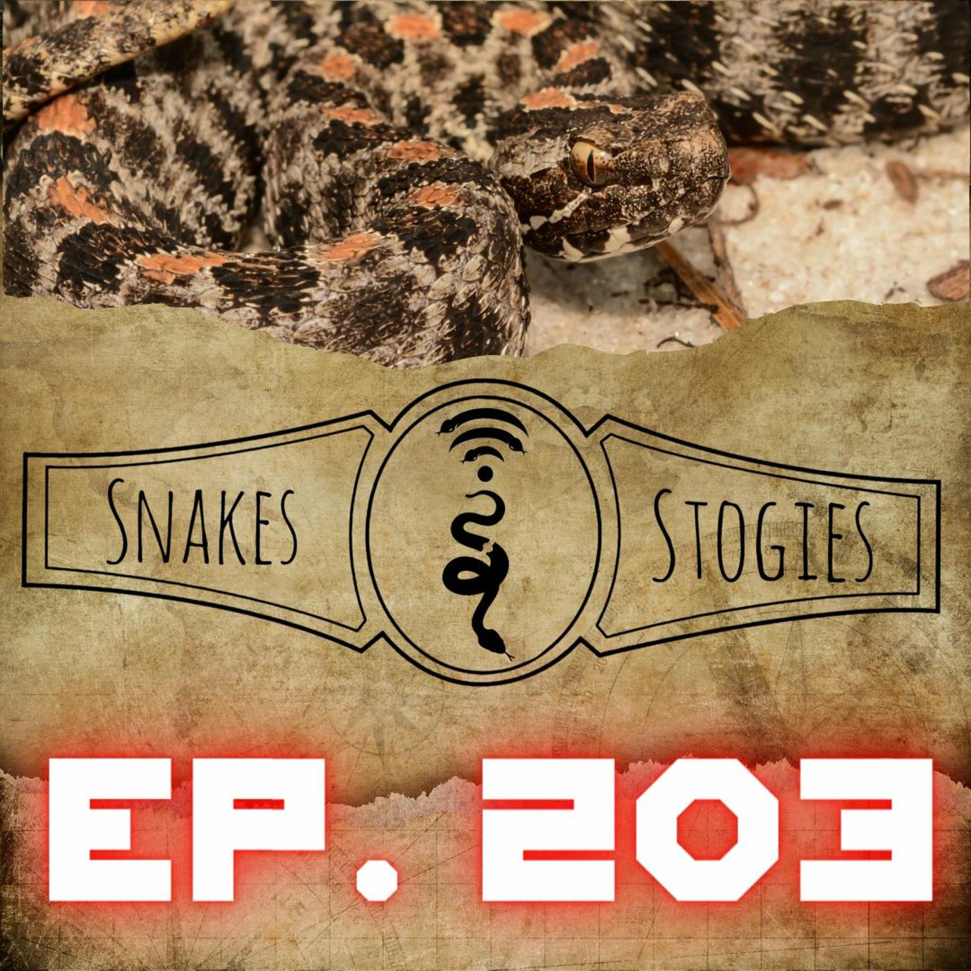 Tarantulas with Nisarg Shah | Snakes & Stogies Ep. 204 | Listen Notes